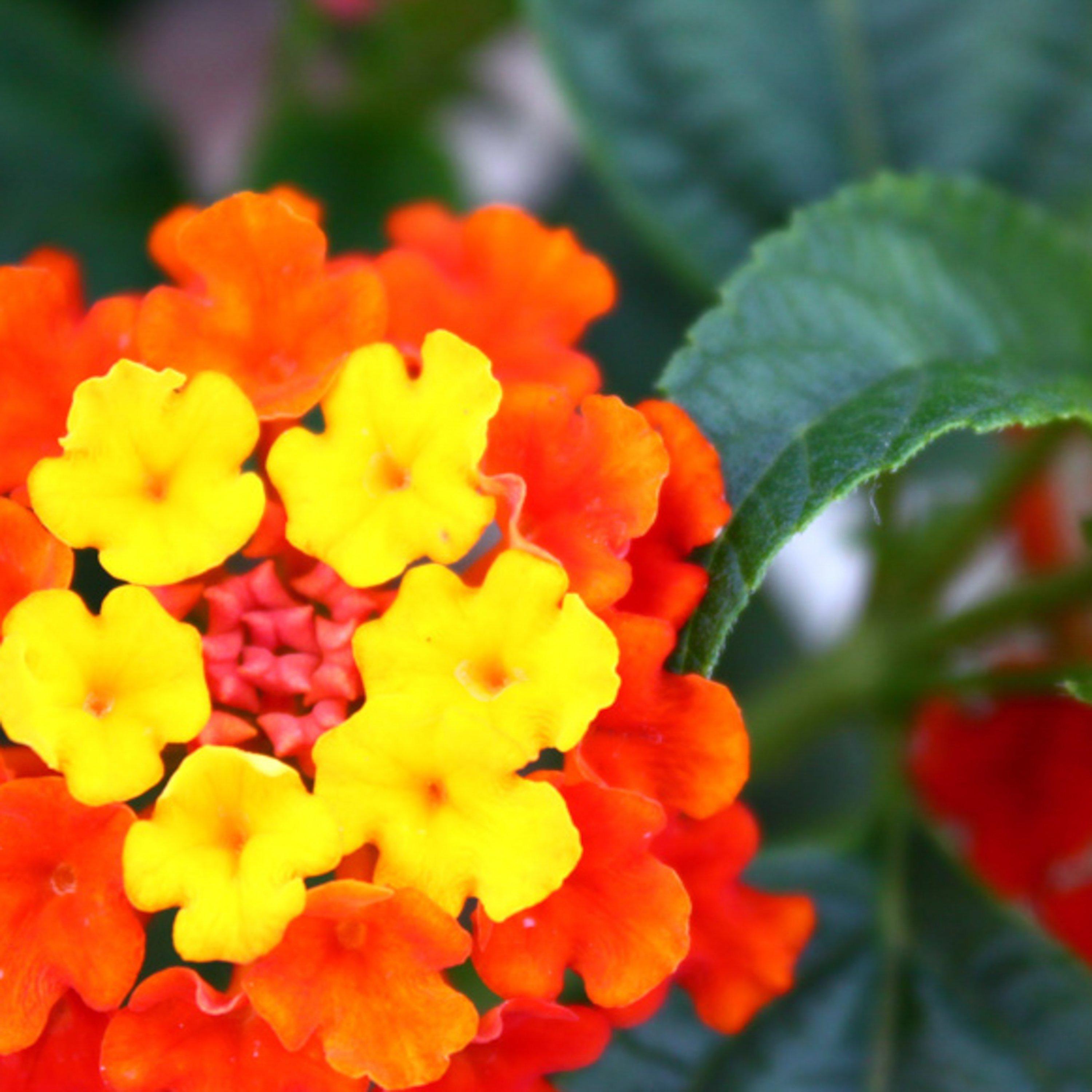 Your Love Is So Deep - Francisco Duke - 专辑 - 网易云音乐