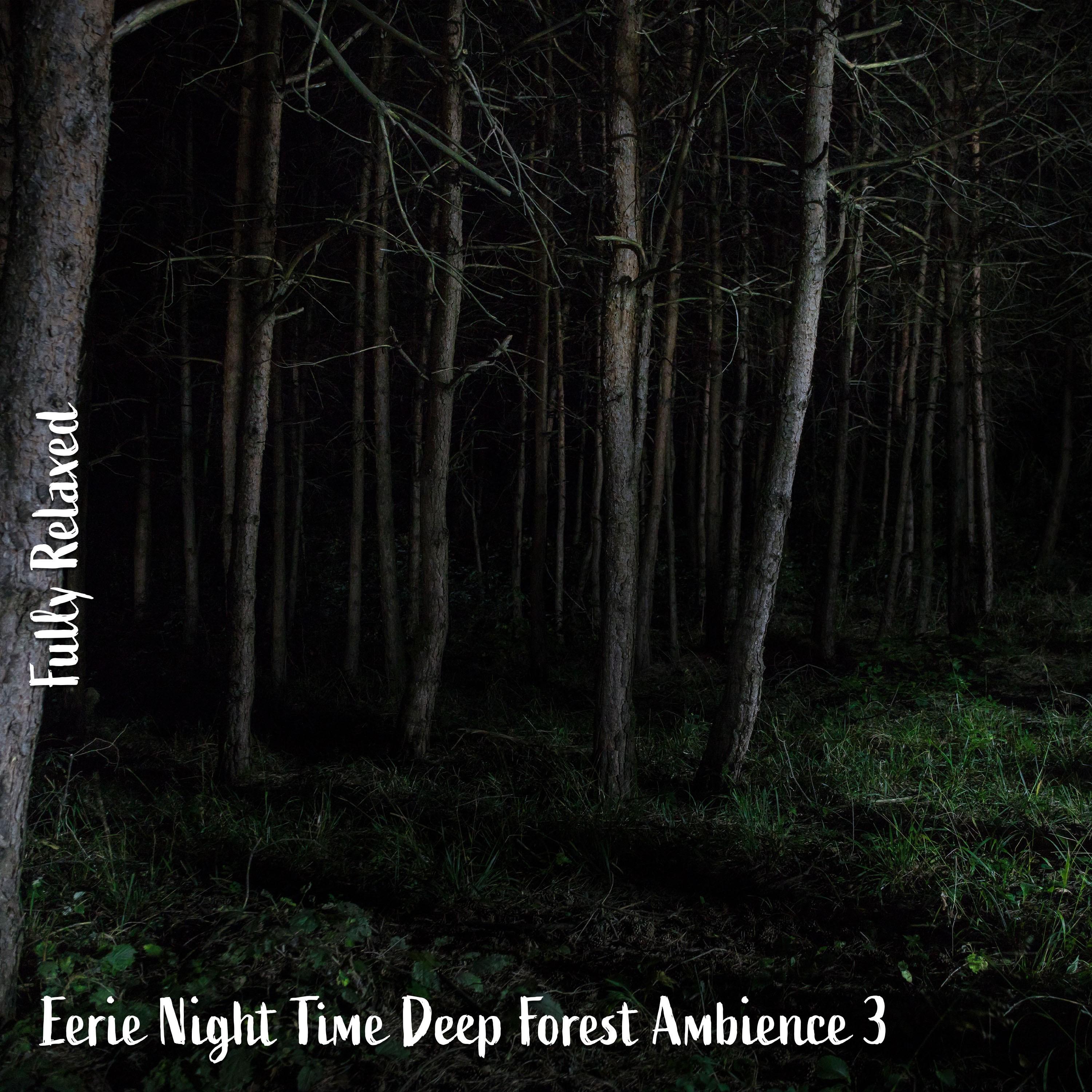 Eerie Night Time Deep Forest Ambience, Pt. 3 - Steve Brassel - 单曲 - 网易云音乐