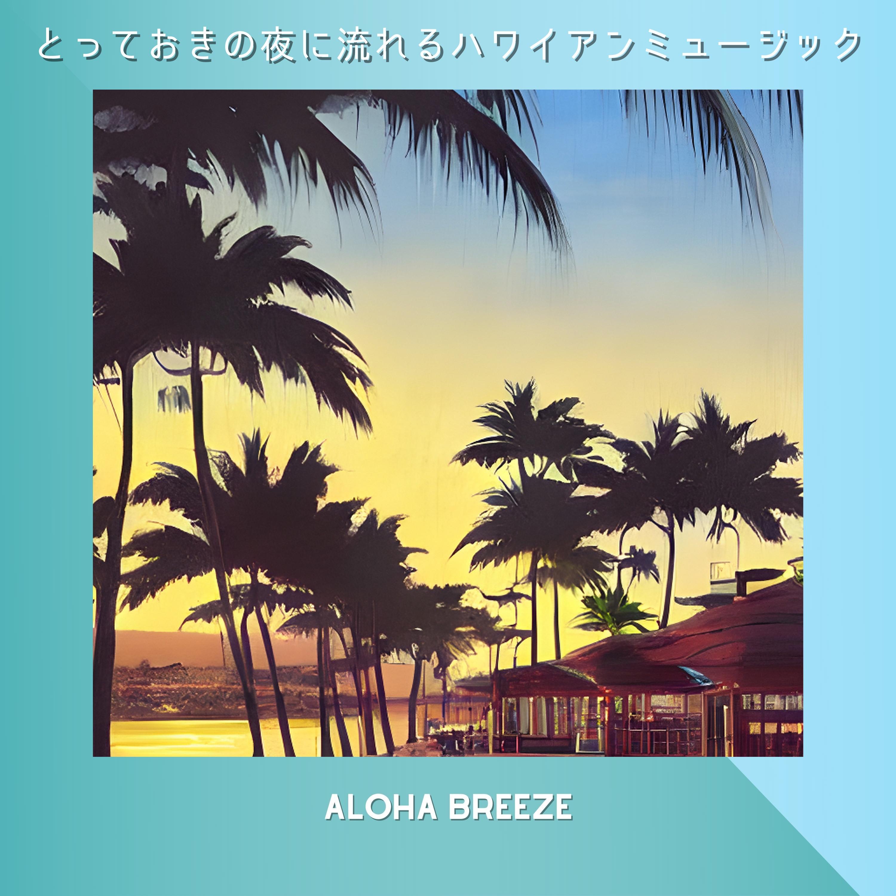 Sunset of Time - Aloha Breeze - 单曲 - 网易云音乐