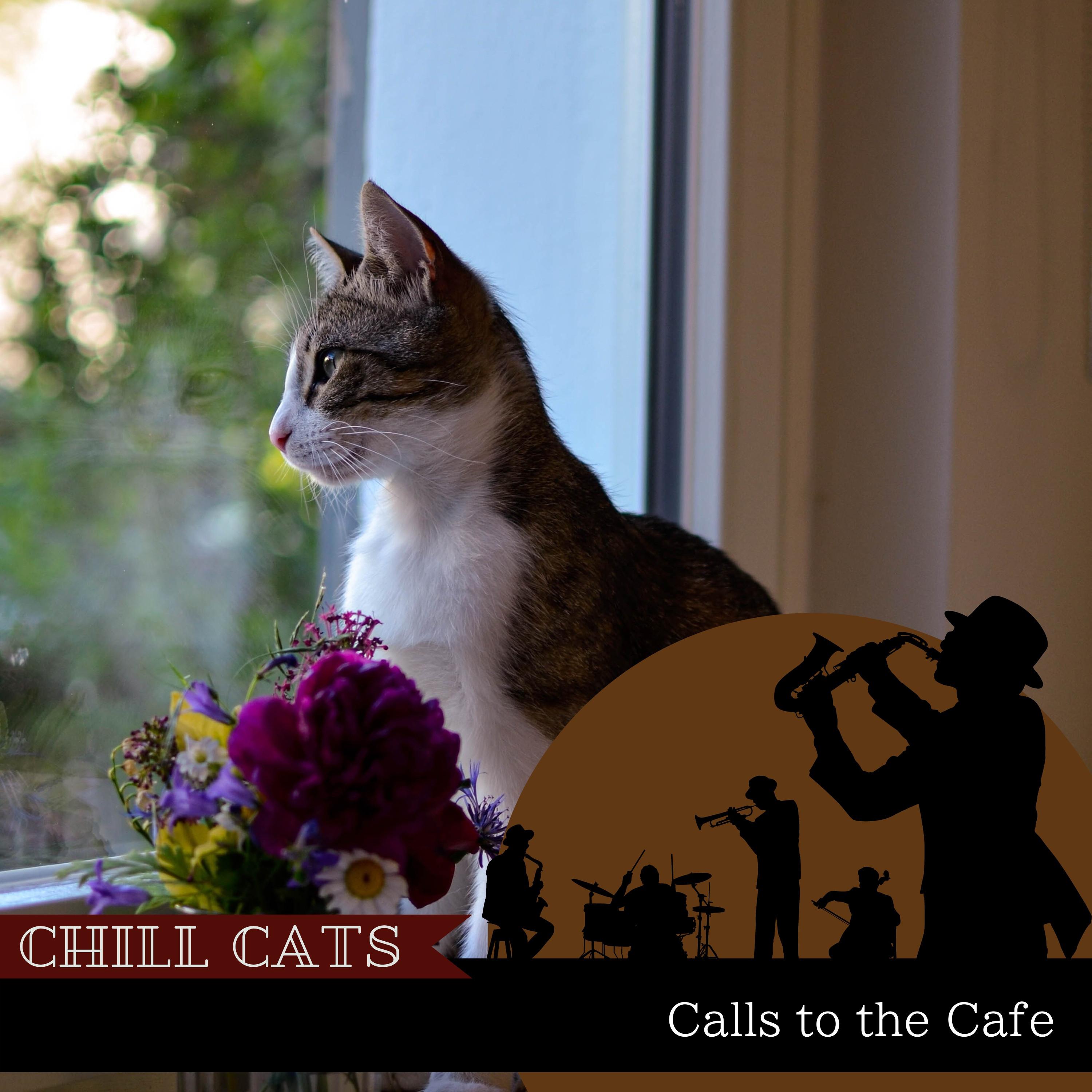 Coffee Stop - Chill Cats - 单曲 - 网易云音乐