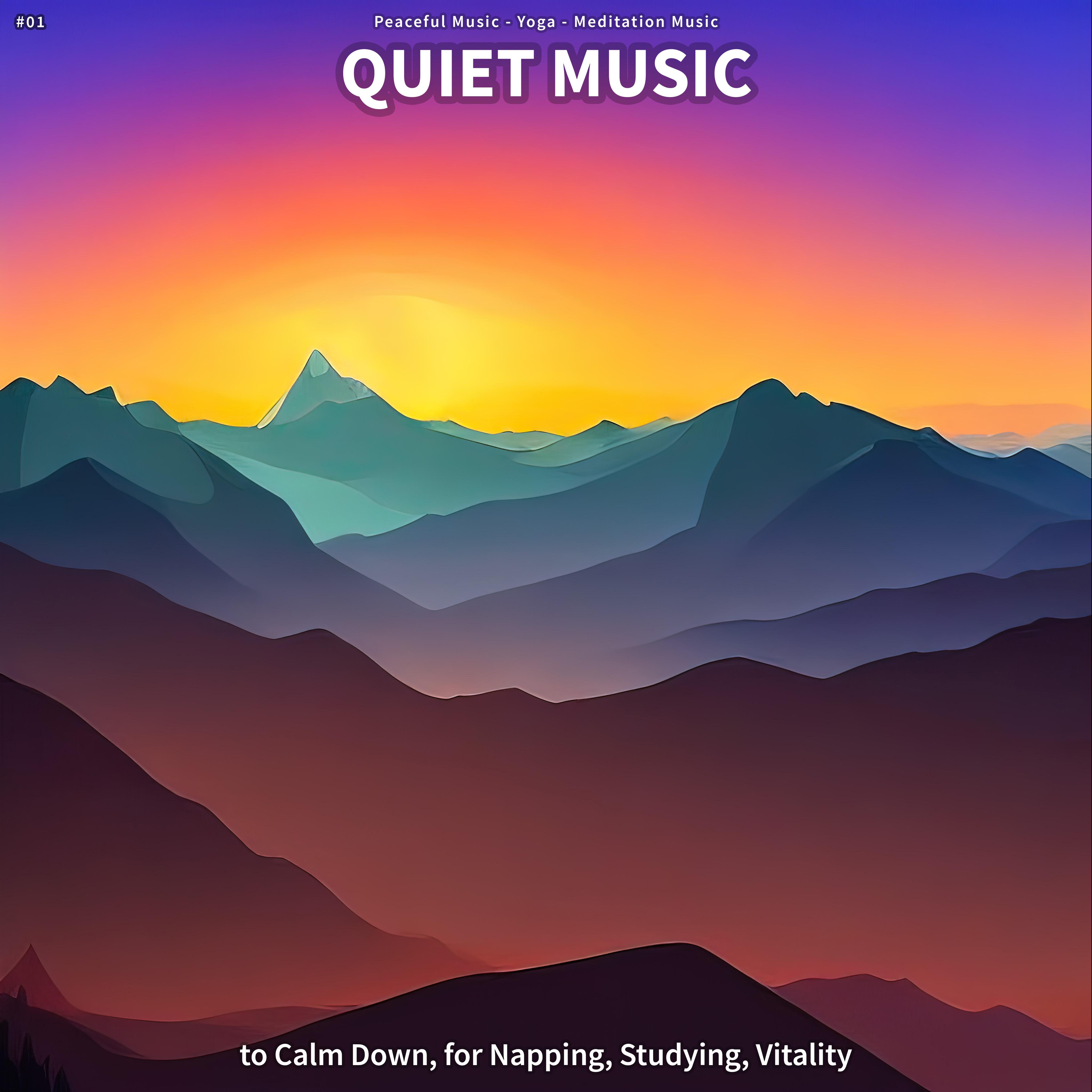 #01 Quiet Music to Calm Down, for Napping, Studying, Vitality - Peaceful Music - 专辑 - 网易云音乐