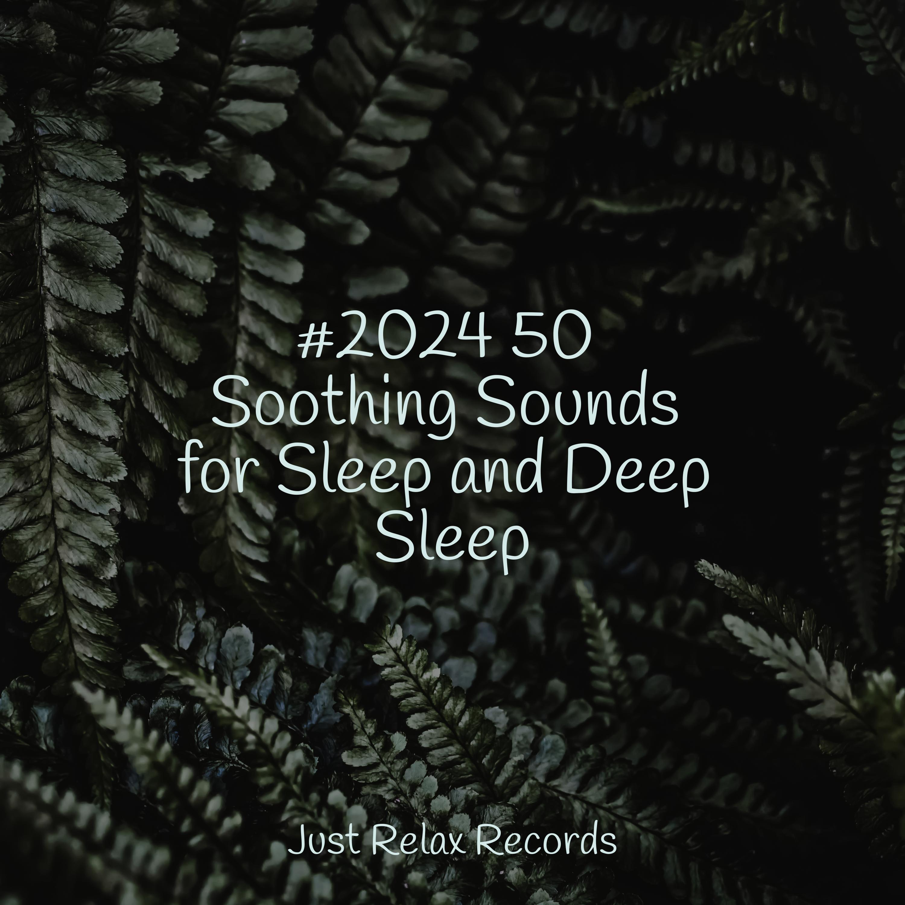 Languid Lullaby of Solitude - Deep Sleep Relaxation/Sonido Del Bosque y Naturaleza/Relaxamento ...