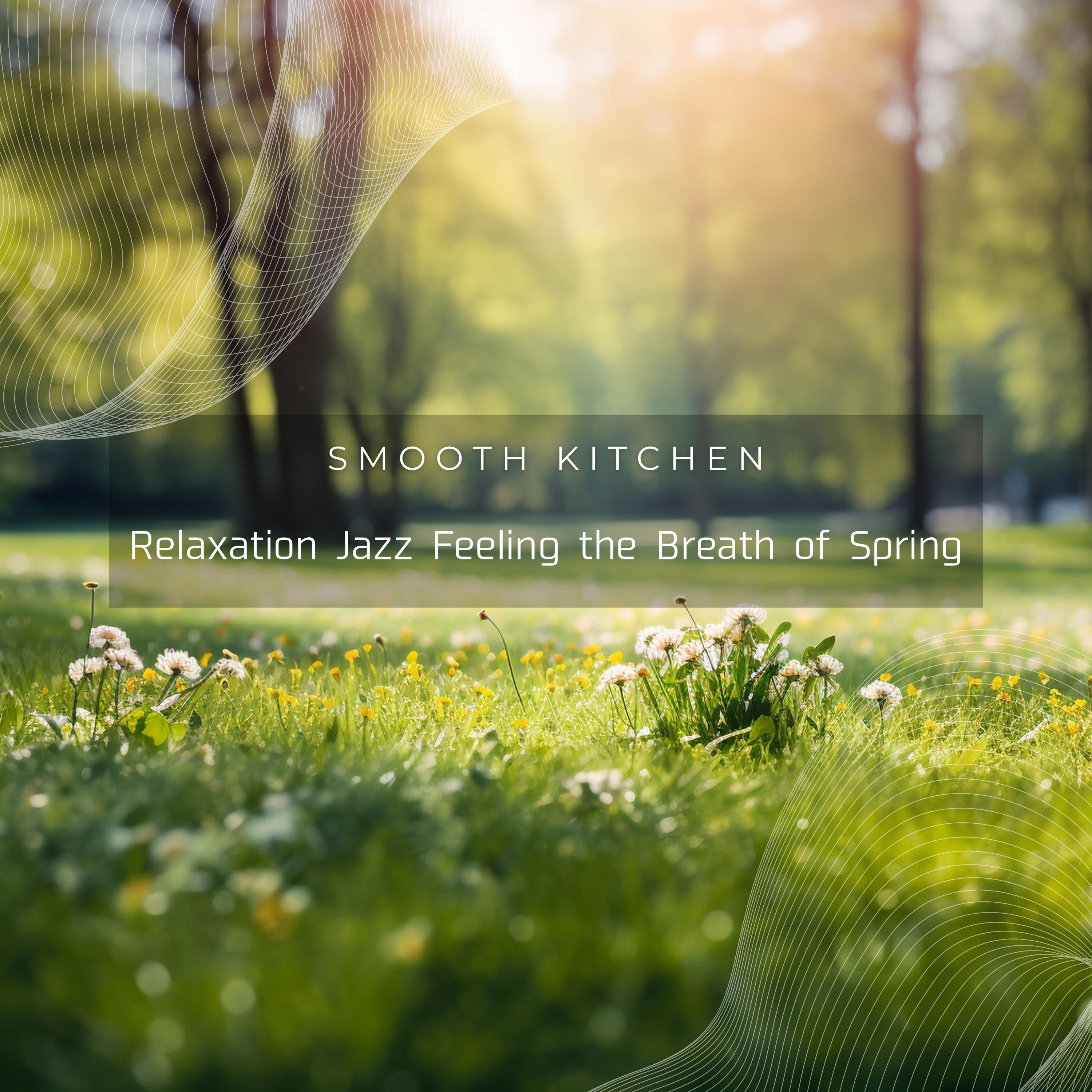 Relaxation Jazz Feeling the Breath of Spring - Smooth Kitchen - 专辑 - 网易云音乐