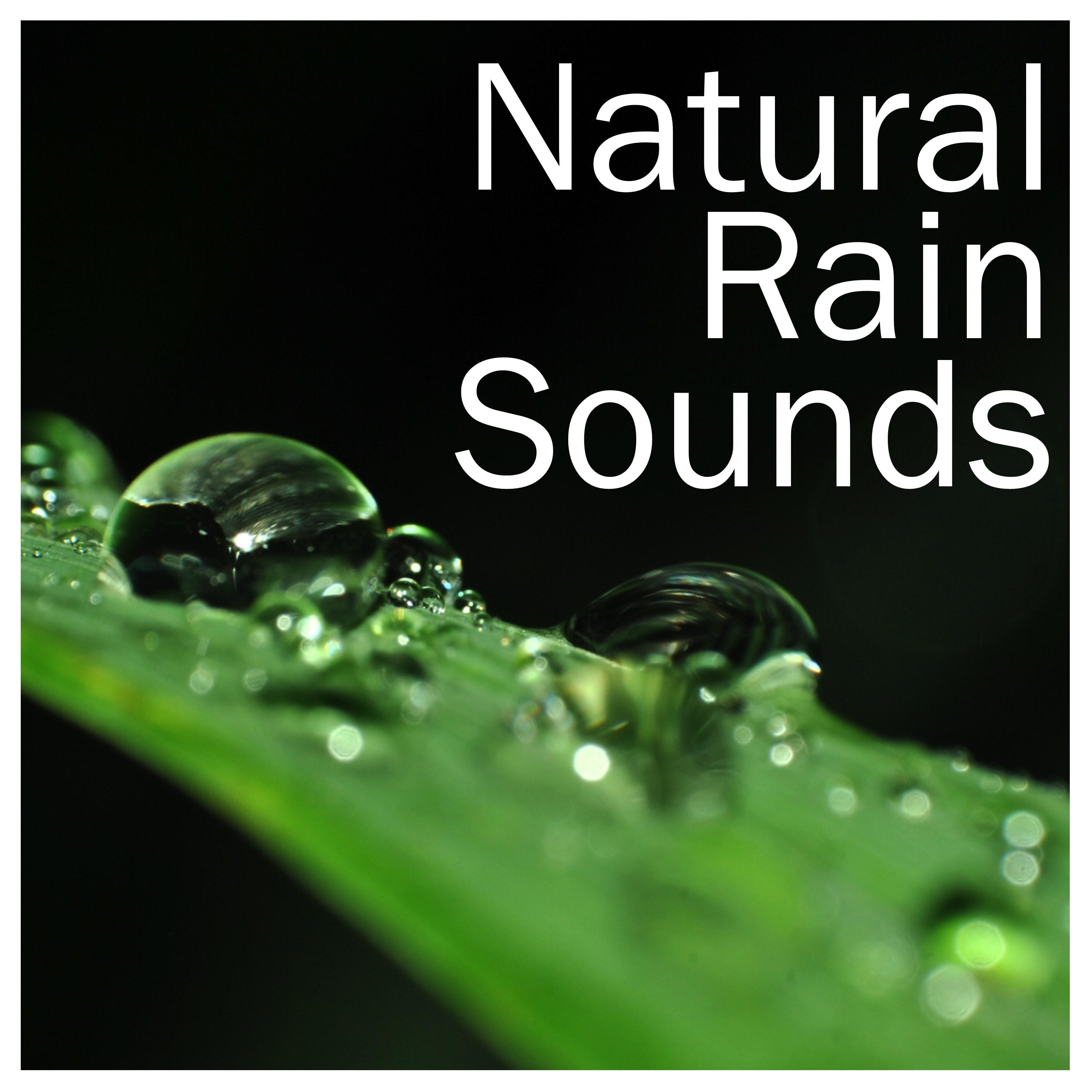 21 Amazing Weather Noises For Spa And Yoga Zen Buddha Rainforest
