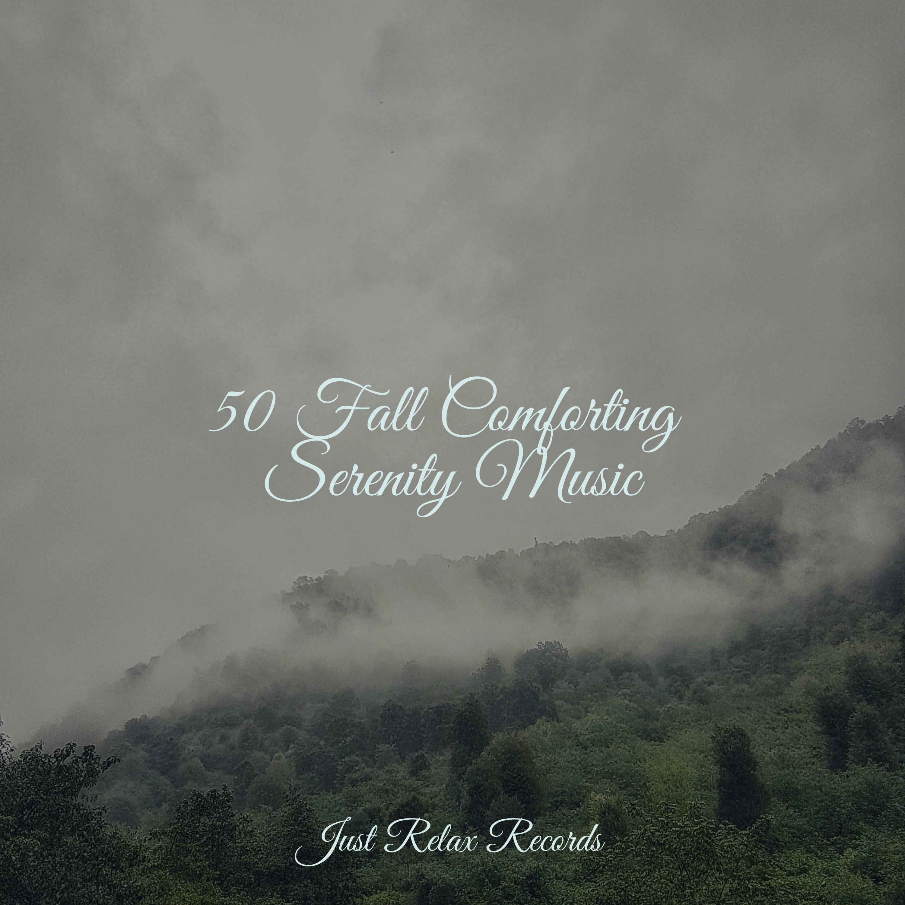 Floral Reflections of Renewal - Música Zen Relaxante/Lucid Dreaming ...