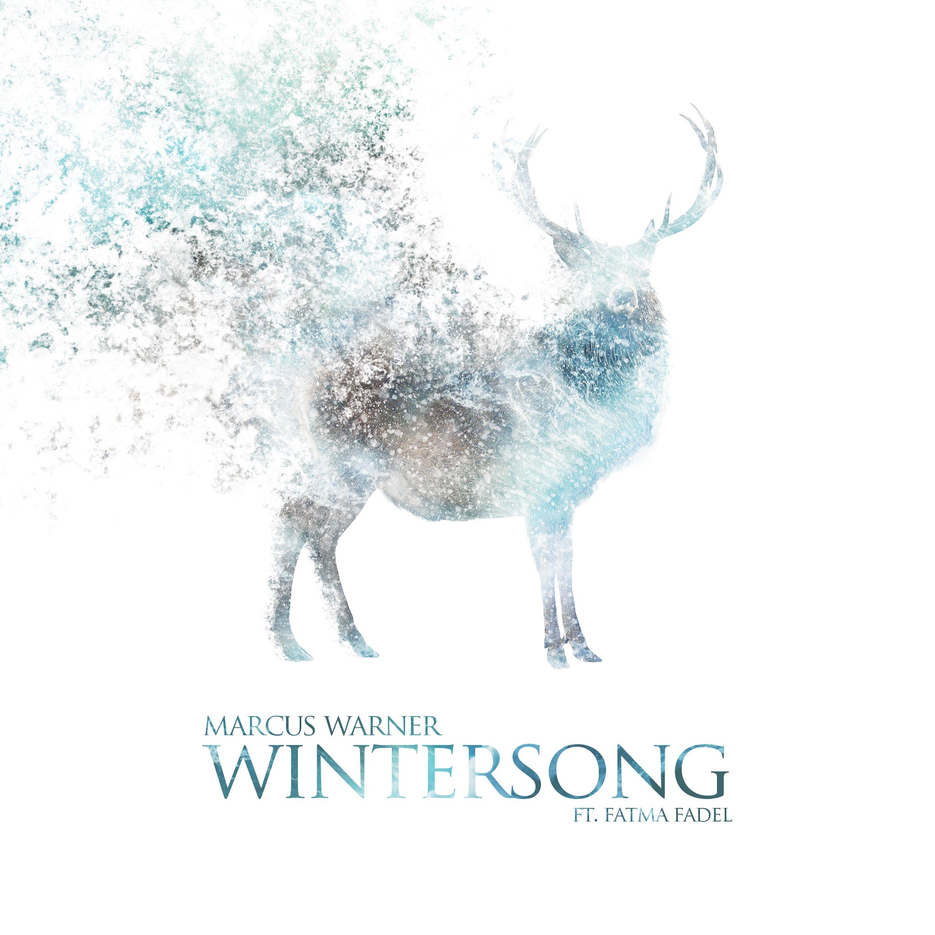Wintersong - Marcus Warner/Fatma Fadel - 单曲 - 网易云音乐
