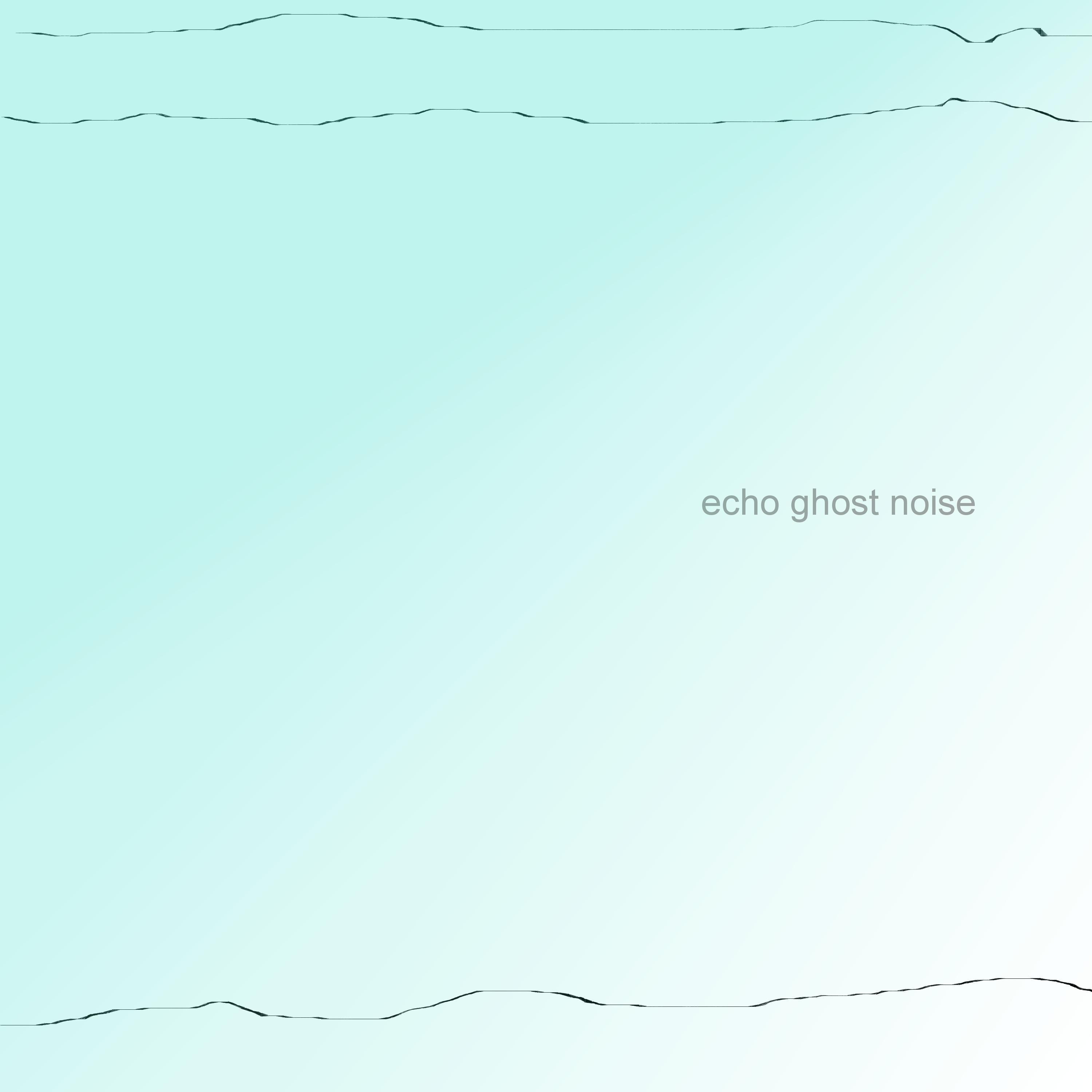 20240126 - echo ghost noise - 单曲 - 网易云音乐