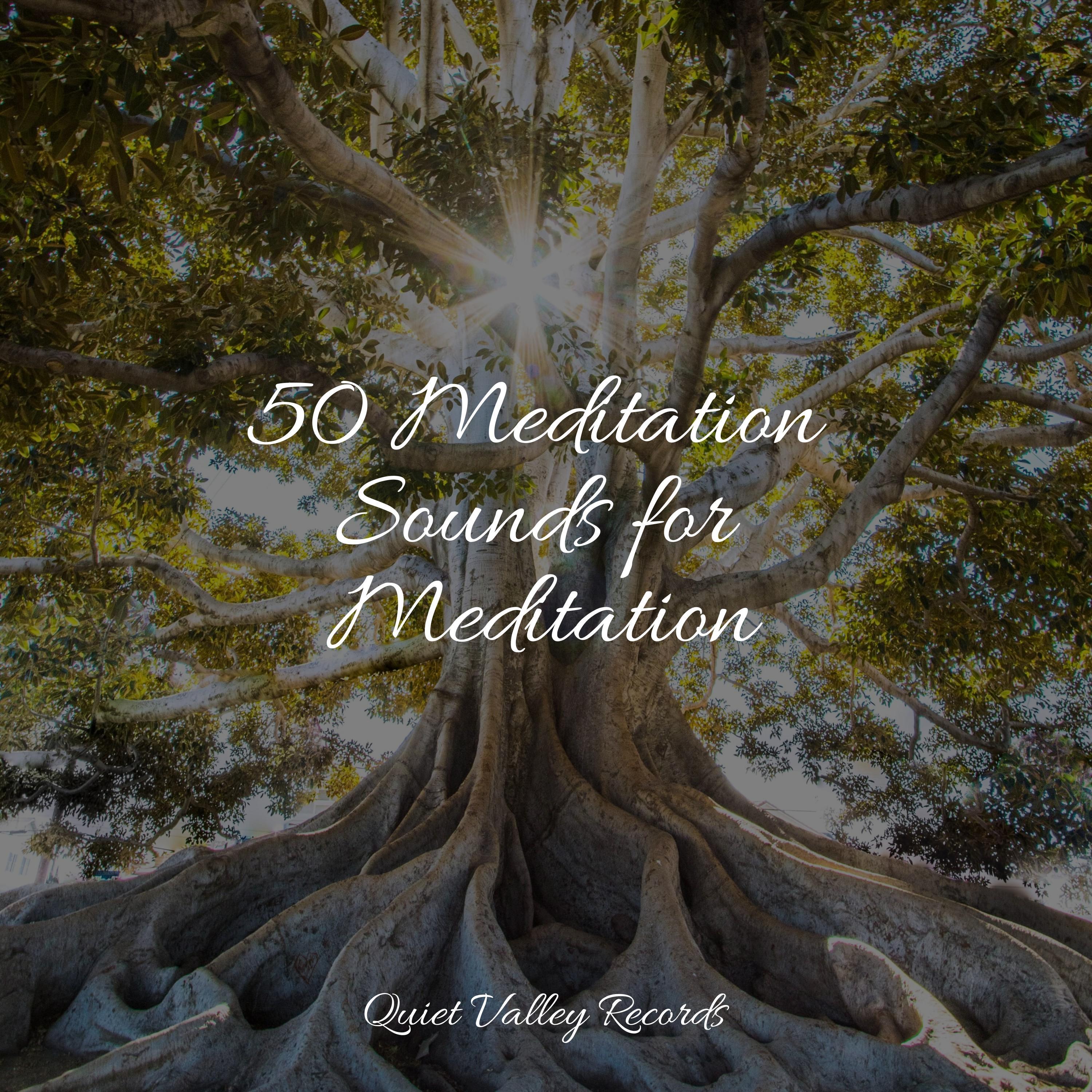 50 Meditation Sounds For Meditation Academia De Relaxamento E