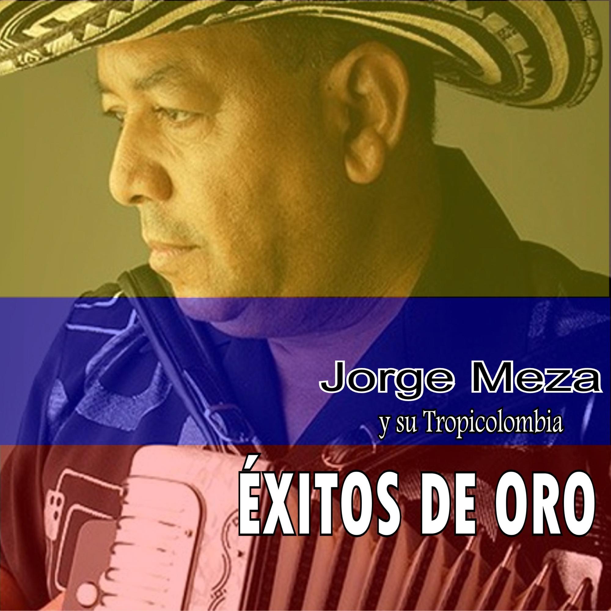 El Pulgón - Jorge Meza y Su Tropicolombia - 单曲 - 网易云音乐