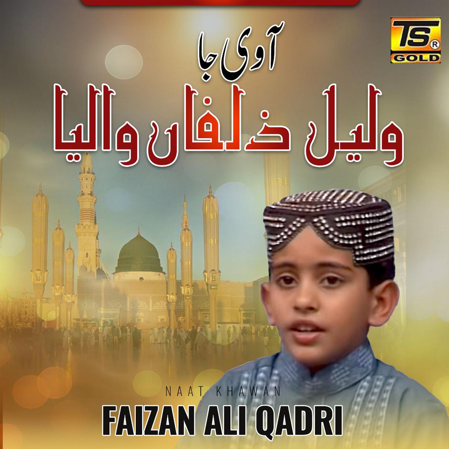 Sohne Karam Kamaya - Faizan Ali Qadri - 单曲 - 网易云音乐