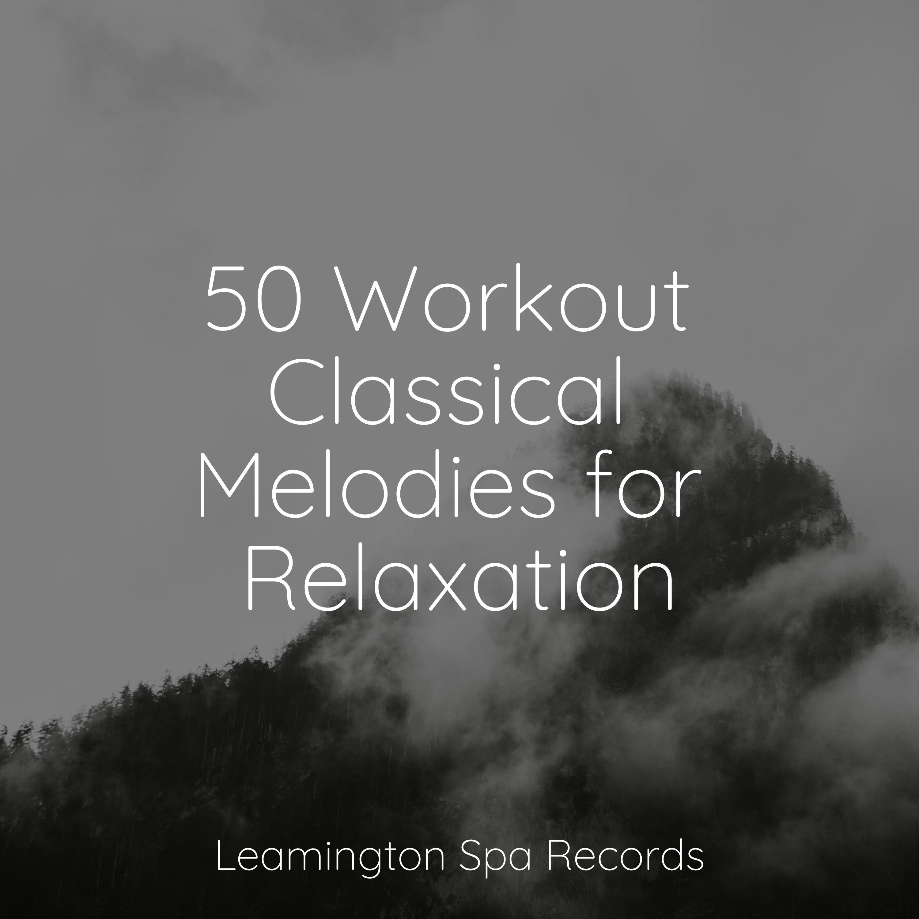 50 Workout Classical Melodies for Relaxation - Natural Sound Makers - 专辑 - 网易云音乐