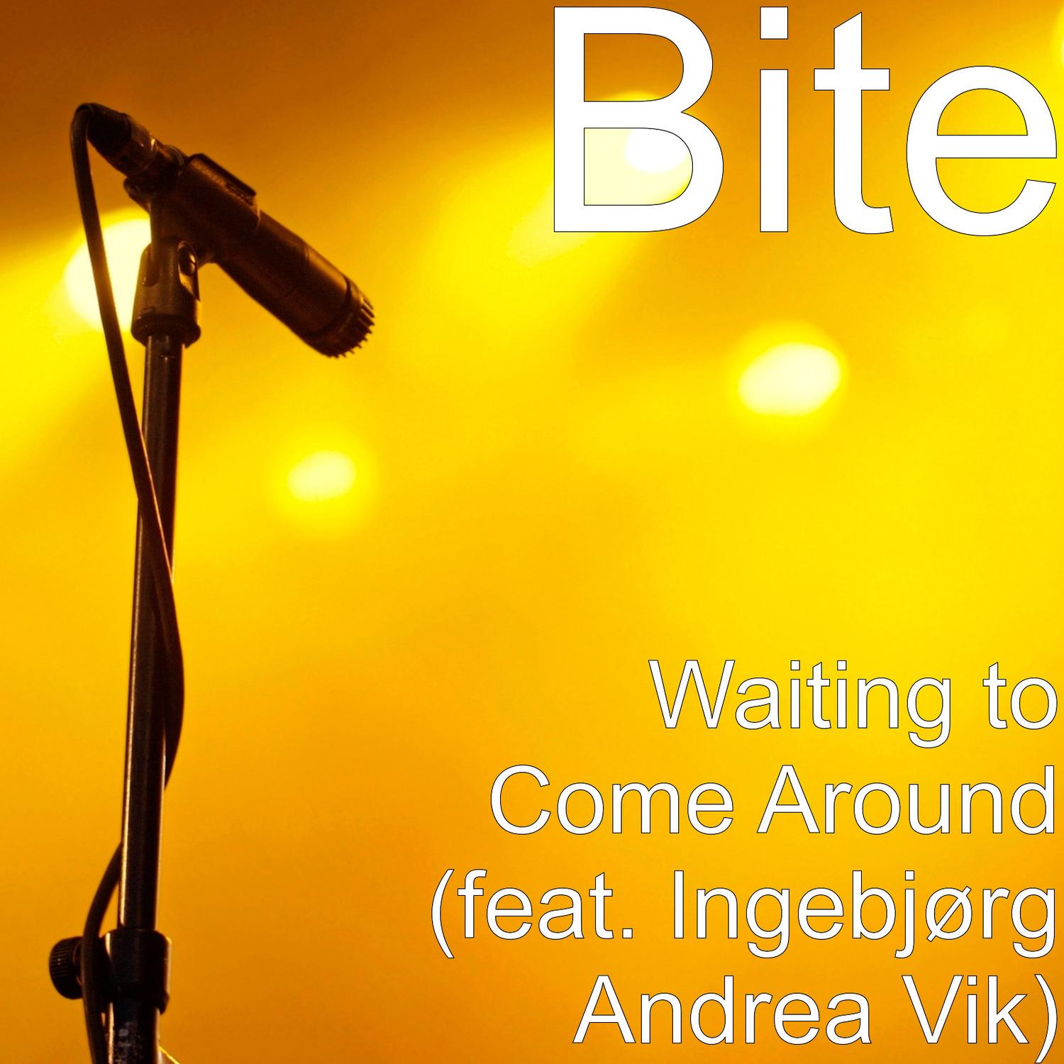 Waiting to Come Around (feat. Ingebjørg Andrea Vik) - Bite/Ingebjørg Andrea Vik - 单曲 - 网易云音乐