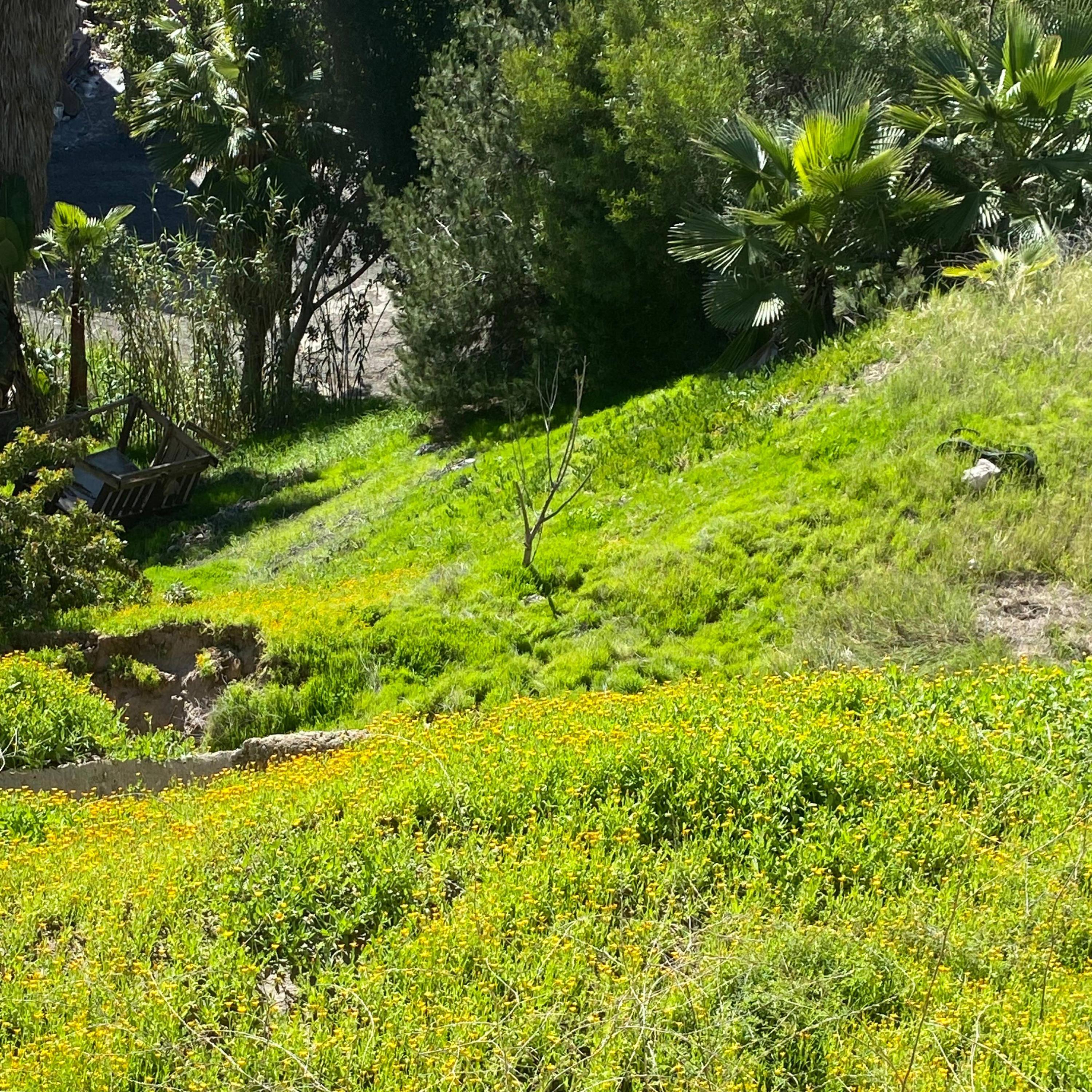 Loop 6 - Meneses - 专辑 - 网易云音乐