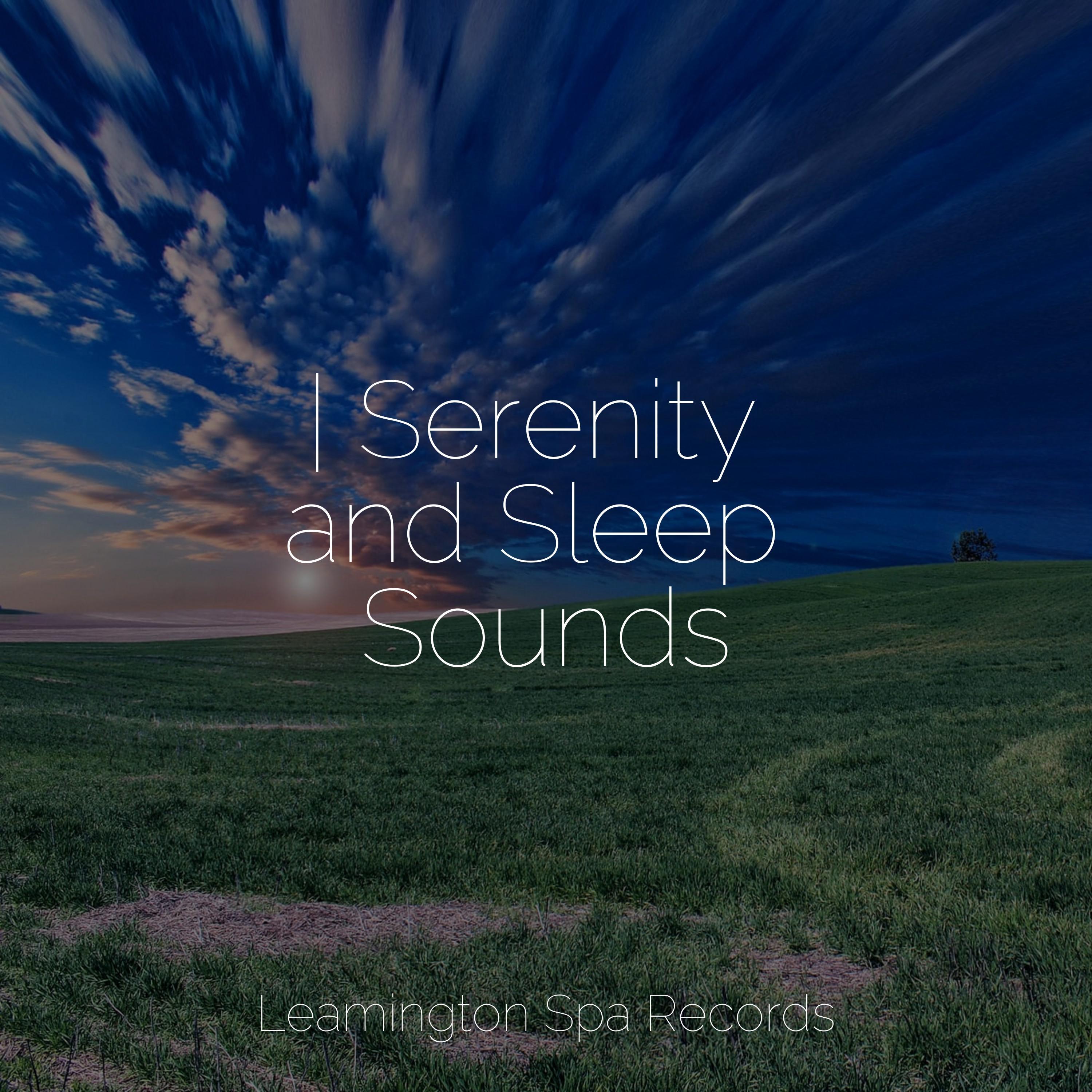 Serenity And Sleep Sounds Tibetan Singing Bowls For Relaxation 专辑