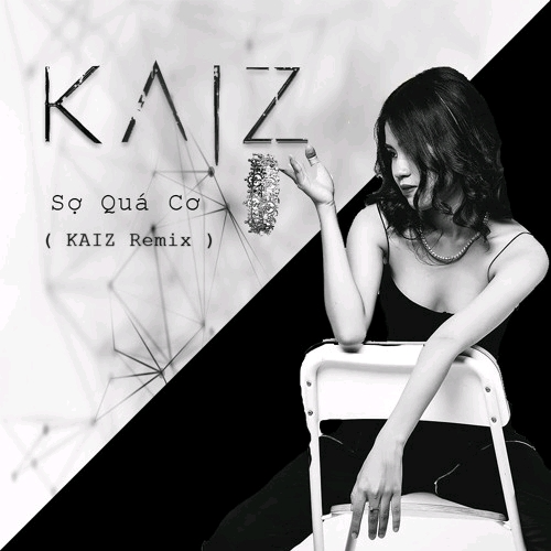 Sợ Quá Cơ (KAIZ Remix) - †DJ KAIZ†/Pháo/MEGAZETZ - 单曲 - 网易云音乐