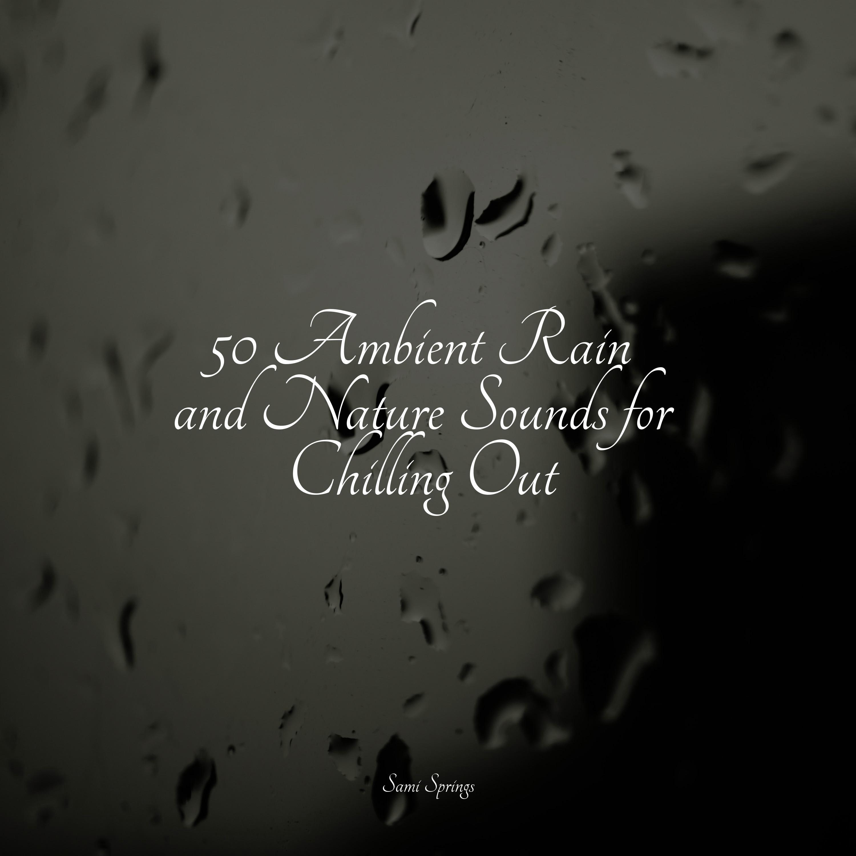 50 Ambient Rain And Nature Sounds For Chilling Out White Noise For