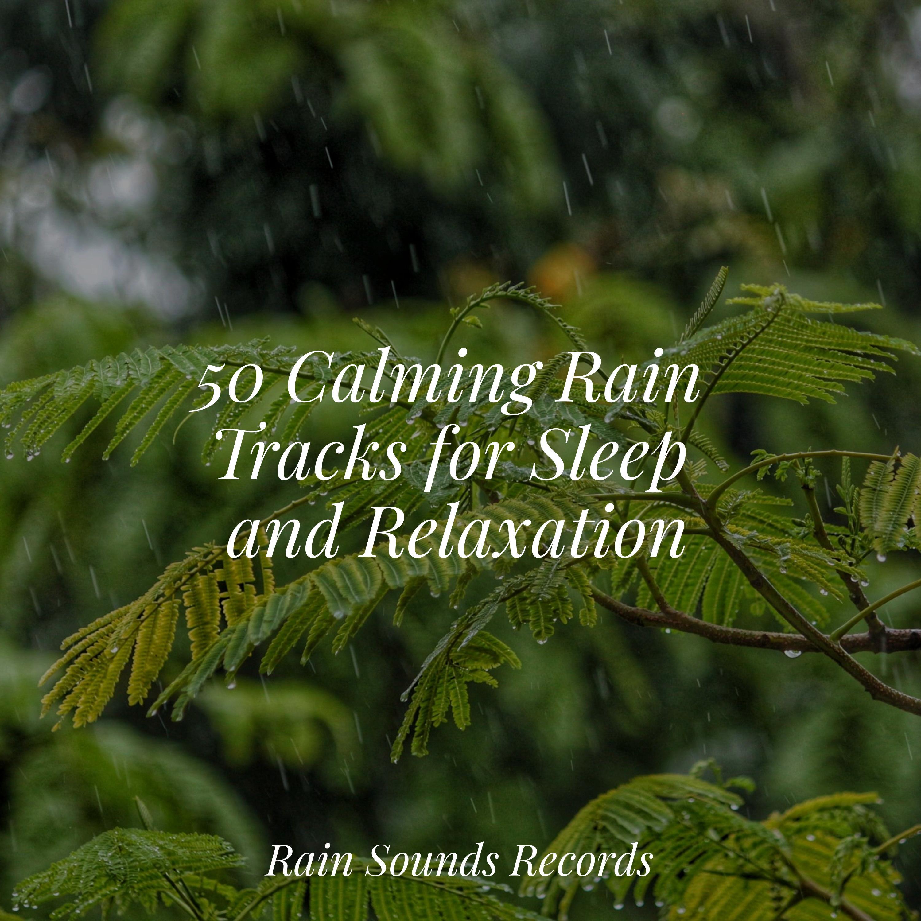 50 Calming Rain Tracks For Sleep And Relaxation Canciones De Cuna