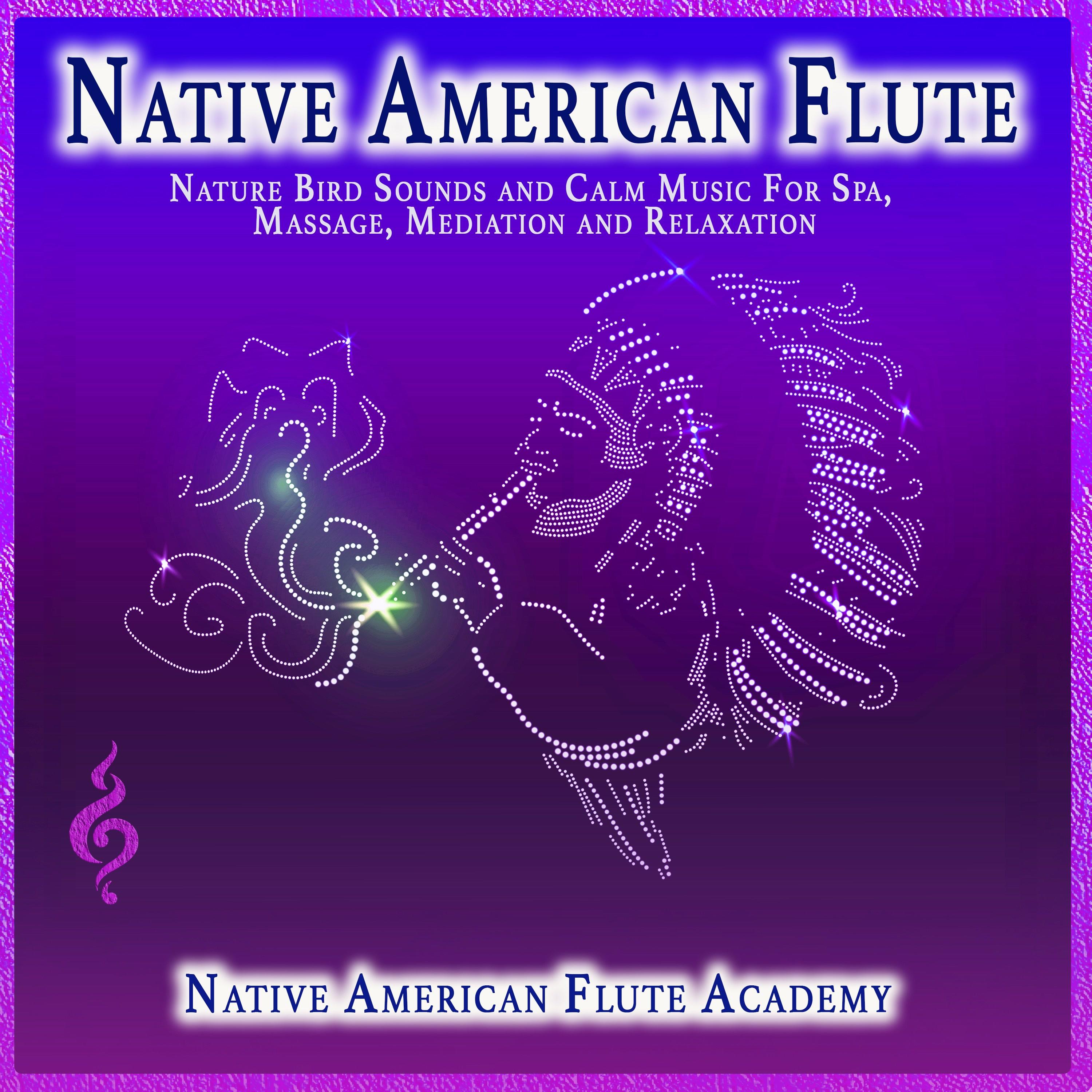 Sacred Flute Tones for Deep Sleep - Native American Flute Academy/Aveda ...