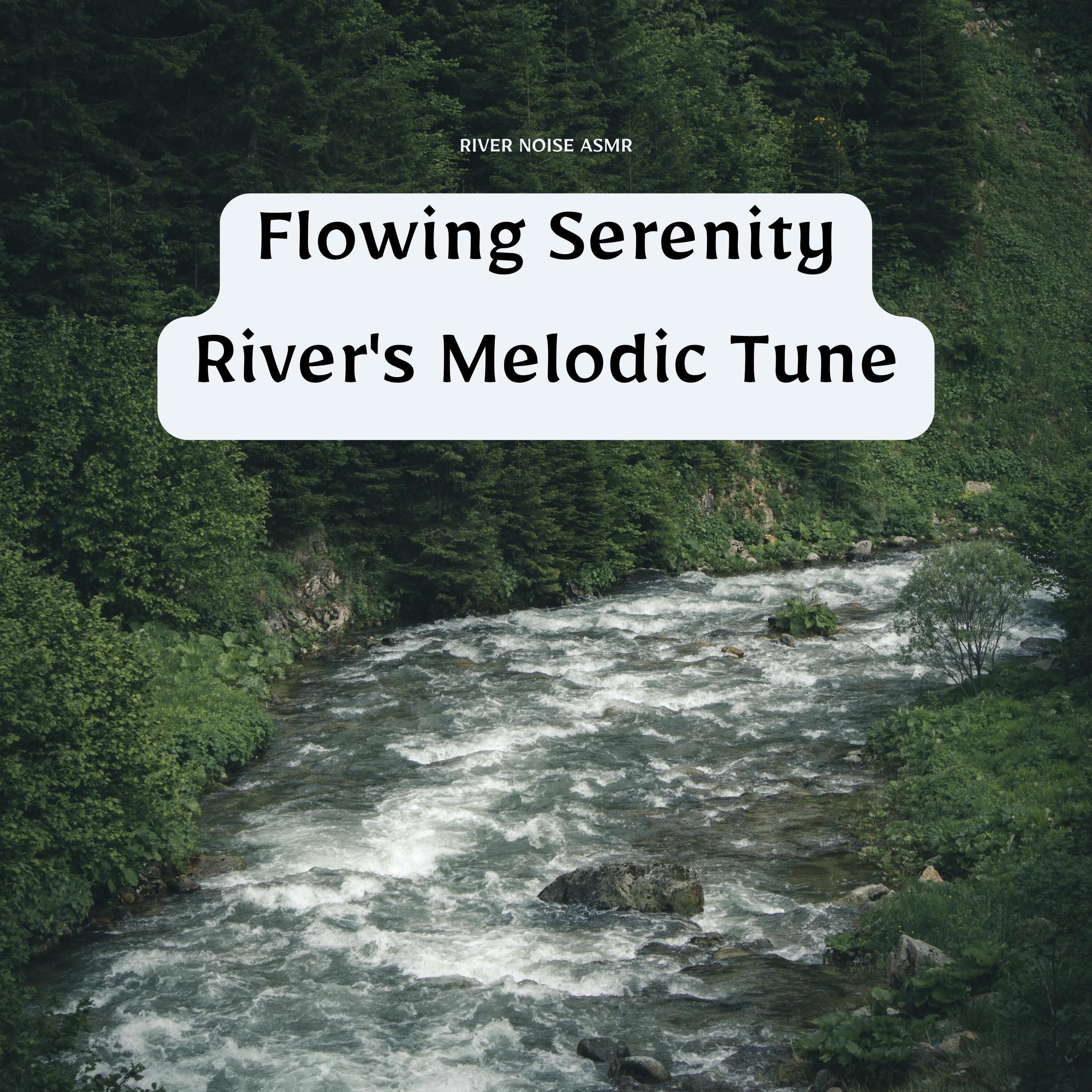 Flowing Serenity: River's Melodic Tune - River Noise ASMR - 专辑 - 网易云音乐