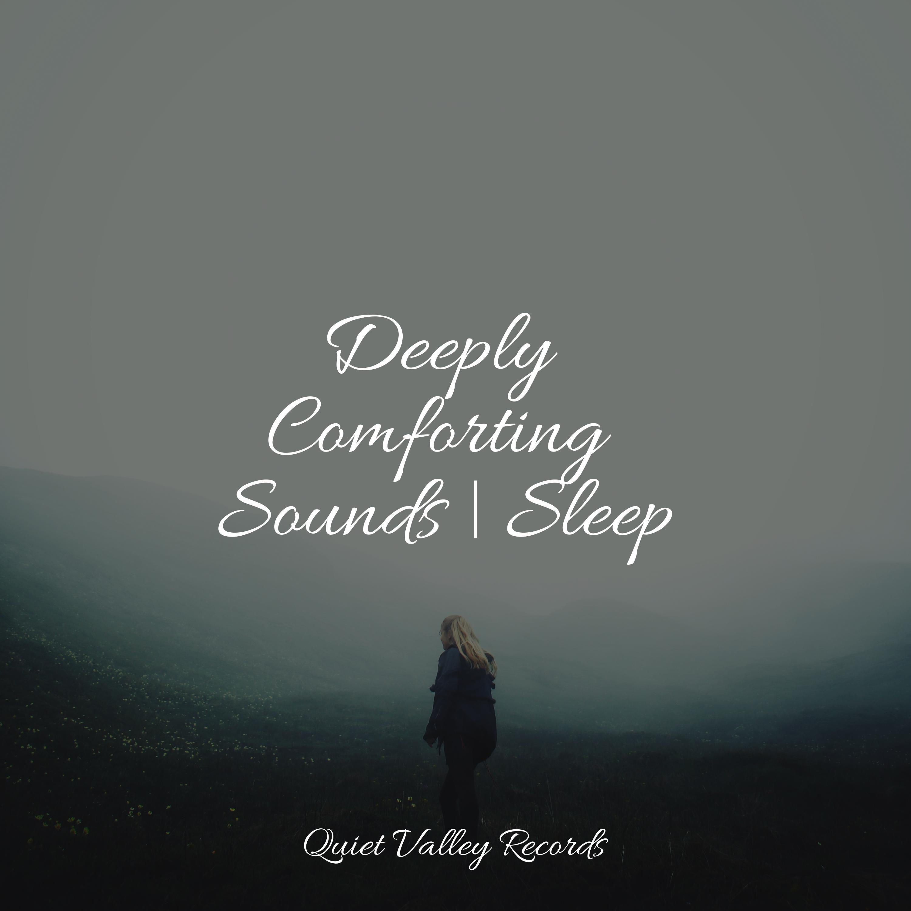 Deeply Comforting Sounds Sleep Sounds Of Rain And Thunder Storms 专辑