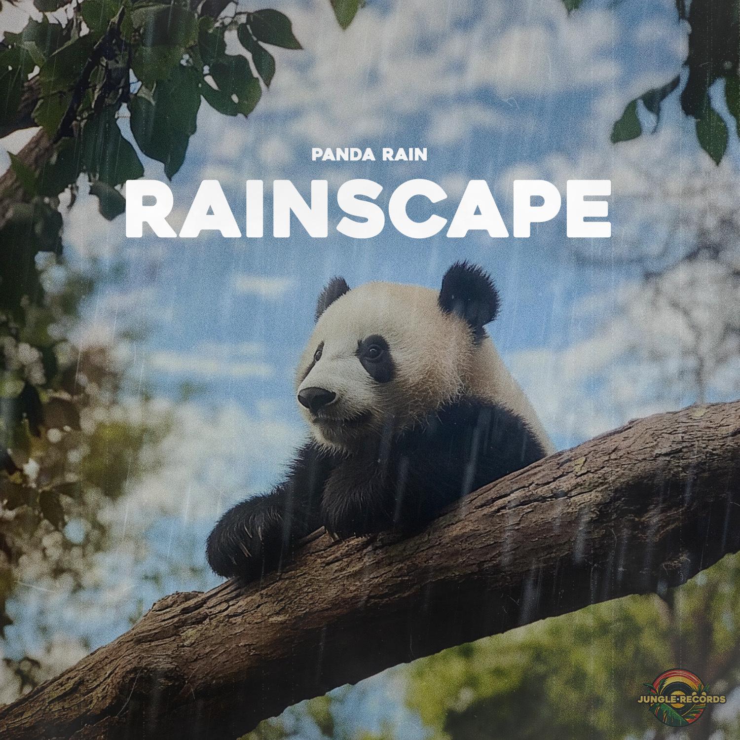 Rainscape - Panda Rain - 专辑 - 网易云音乐