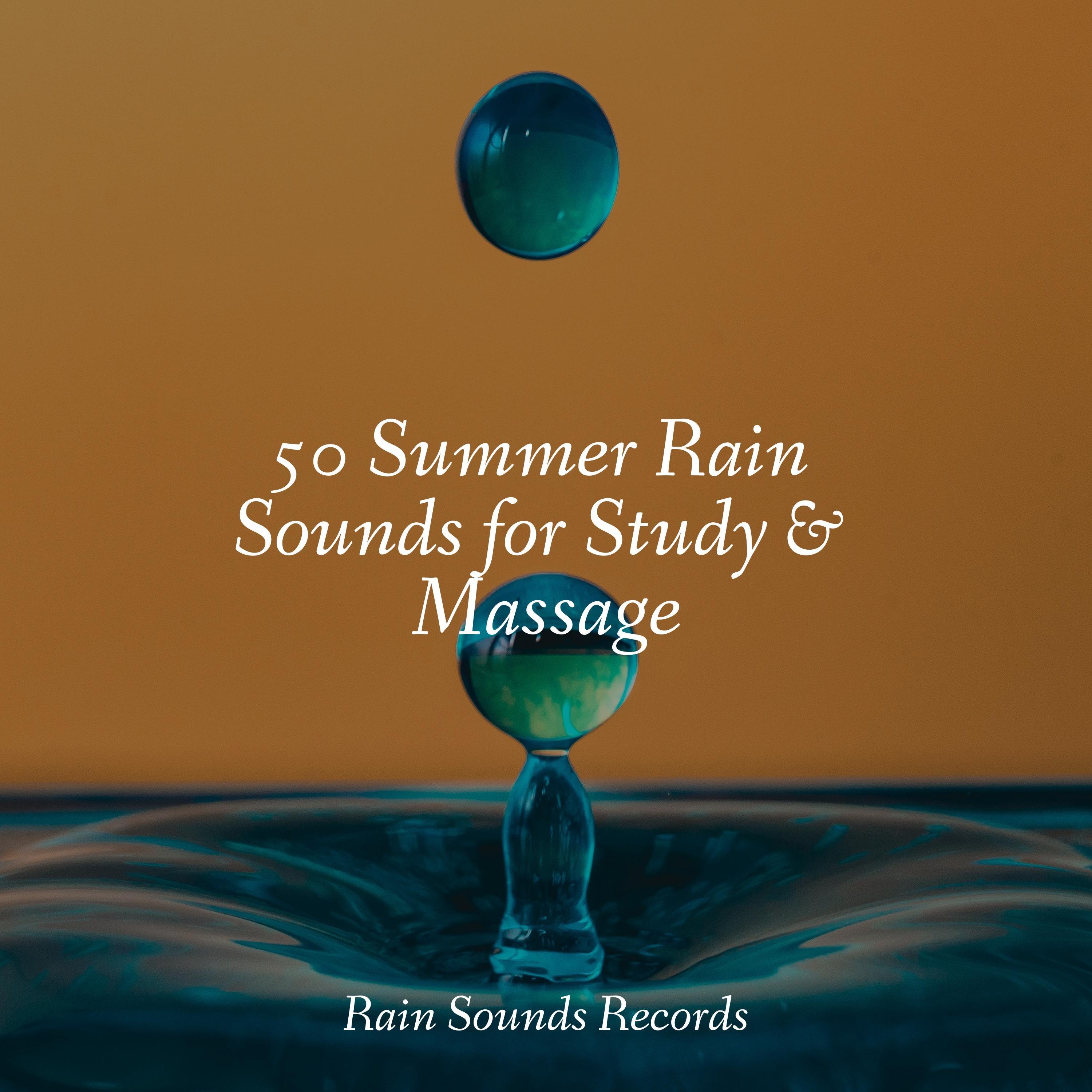 Melodic Rainstorm Symphony - Nature Sounds Nature Music/Yoga Sounds ...