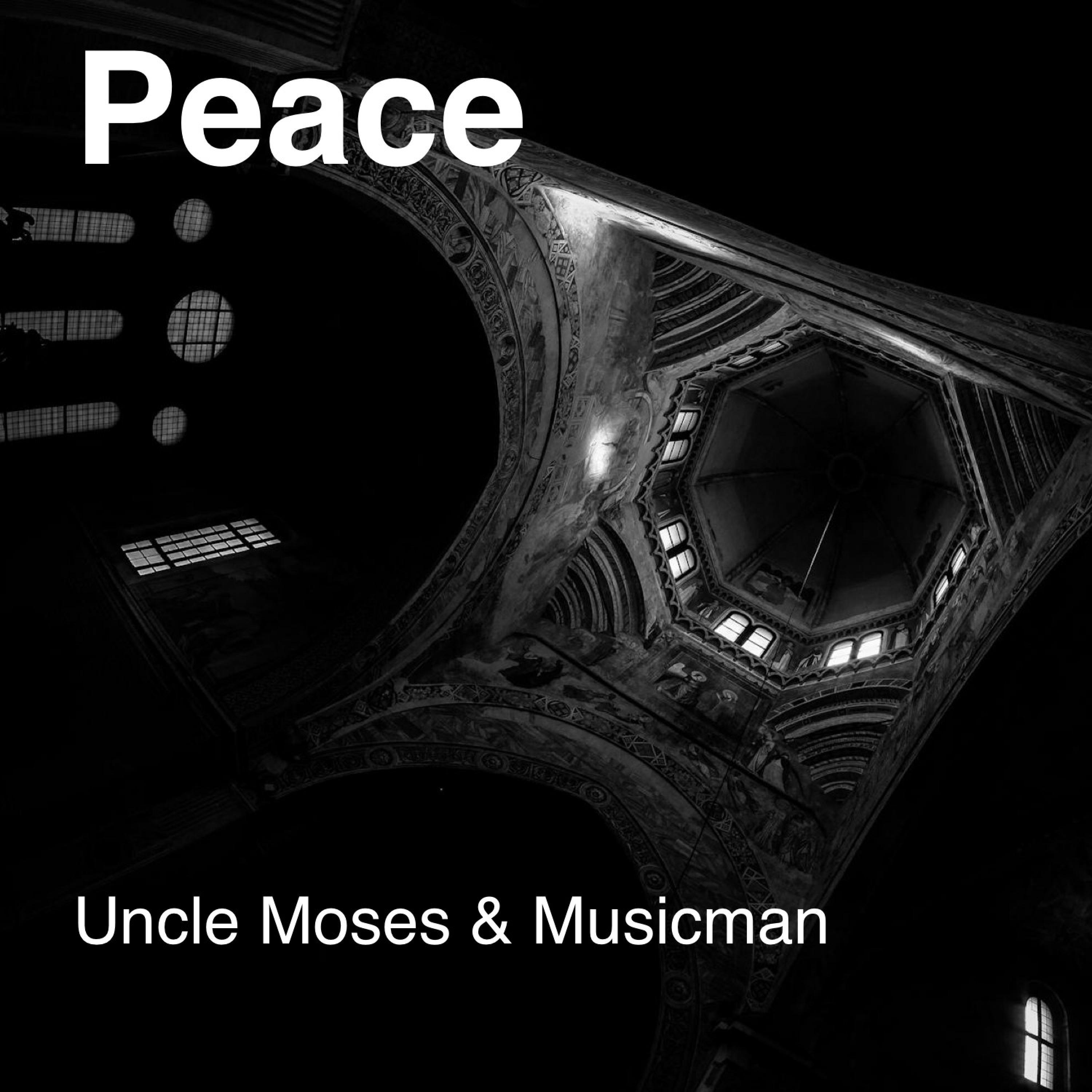 Peace - Uncle Moses - 单曲 - 网易云音乐