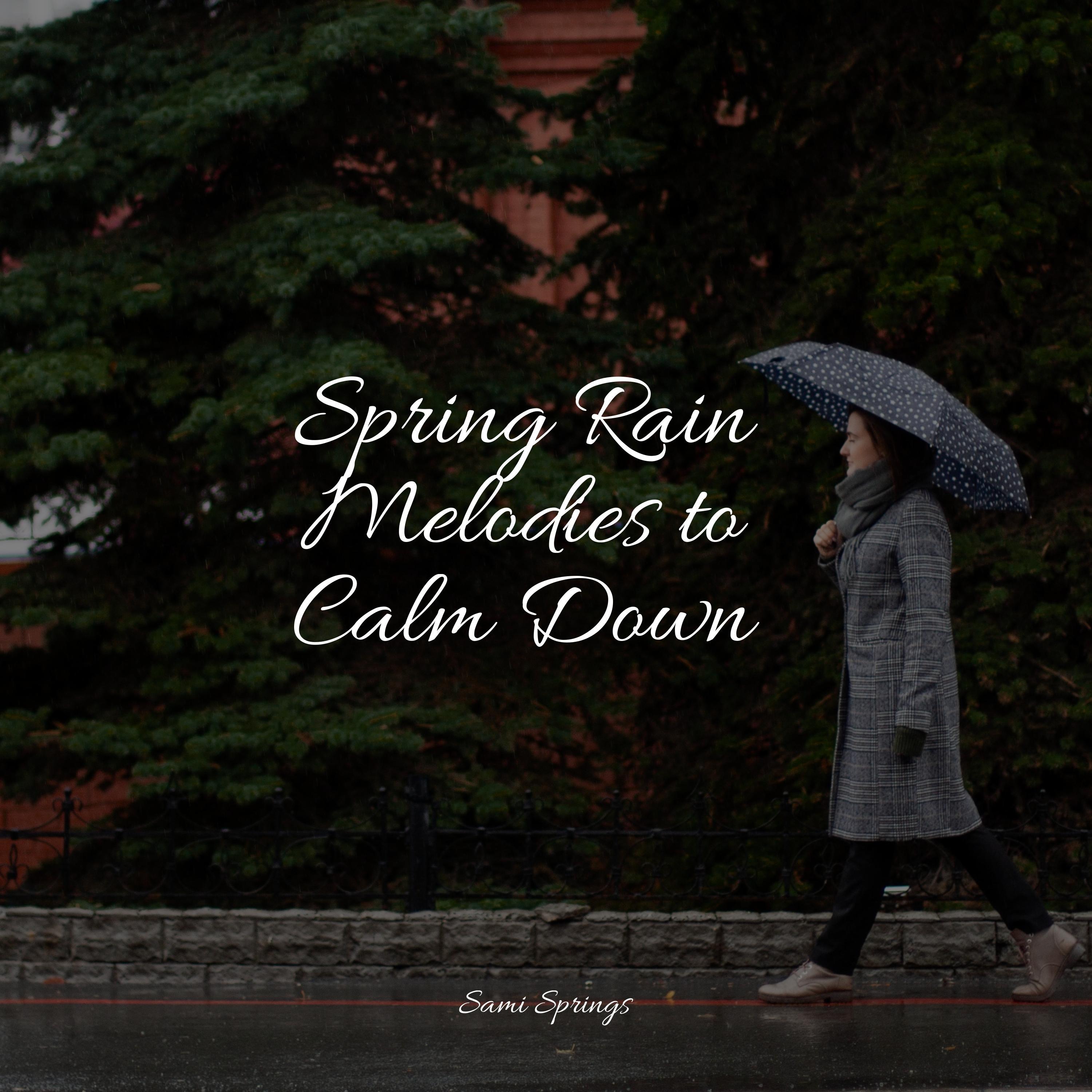 Spring Rain Melodies to Calm Down - Relaxing Rain Sounds - 专辑 - 网易云音乐