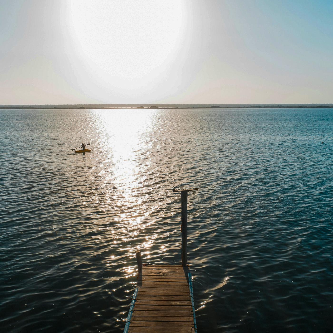 Sea LIfe - Sea Waves Sounds/Water Soundscapes/Ocean Sounds Collection ...