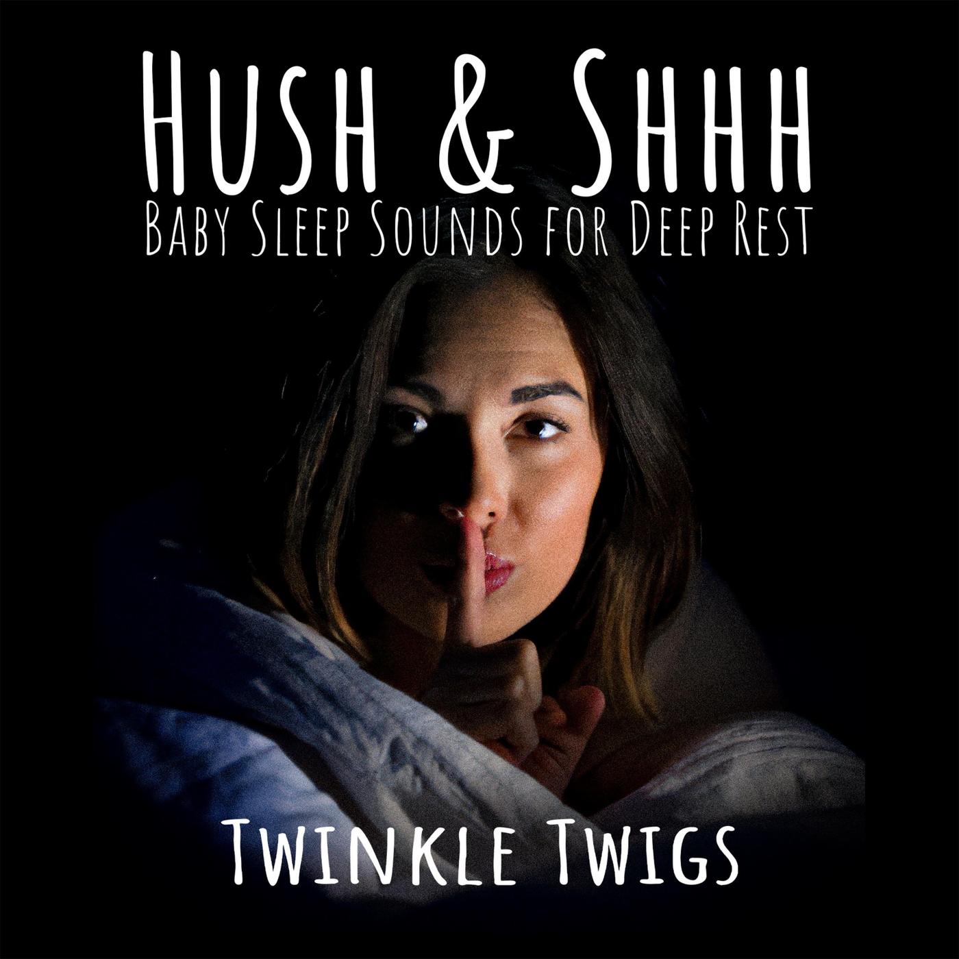 Hush & Shhh: Baby Sleep Sounds for Deep Rest - Twinkle Twigs - 专辑 - 网易云音乐
