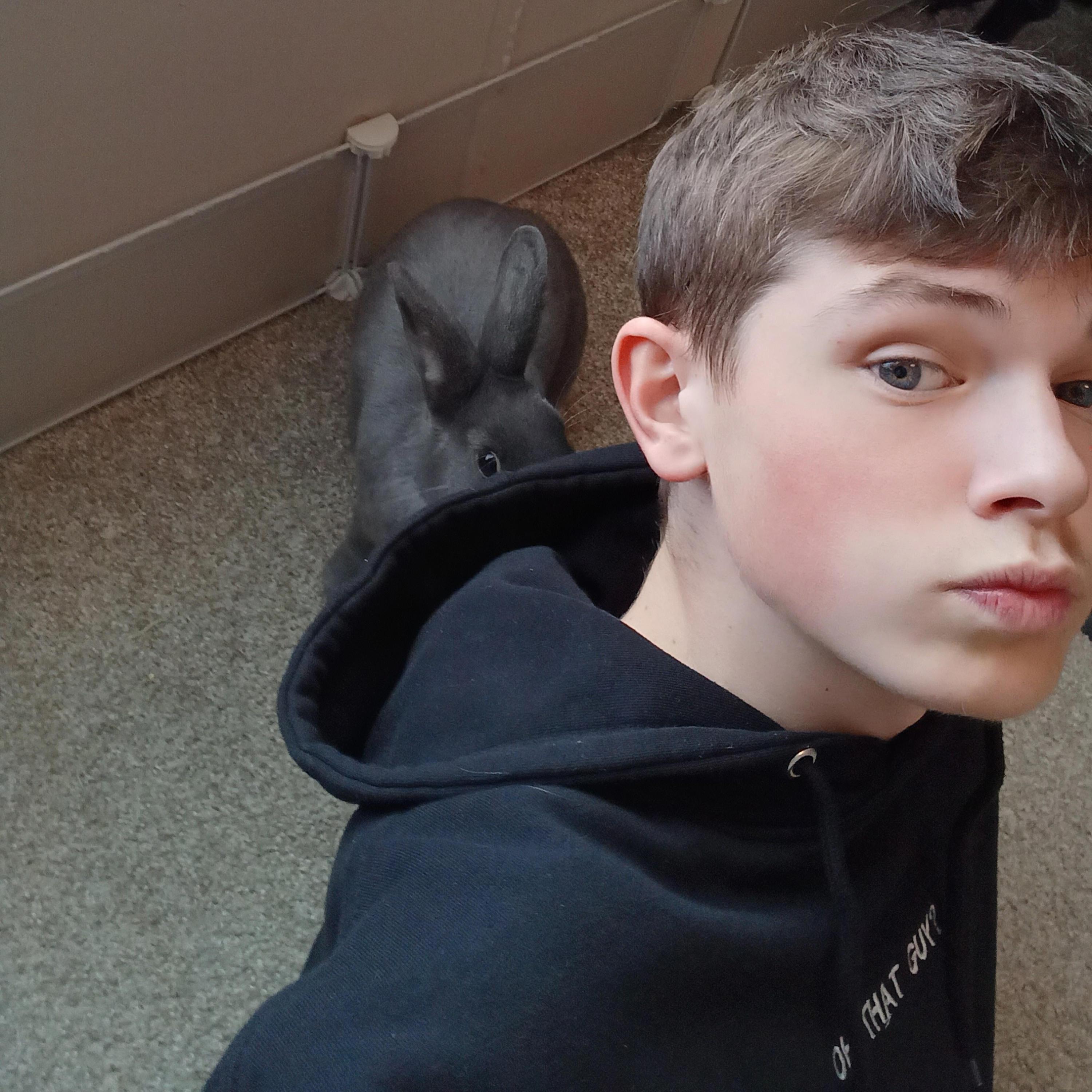 Milo The Bunny - J.C.T. - 专辑 - 网易云音乐