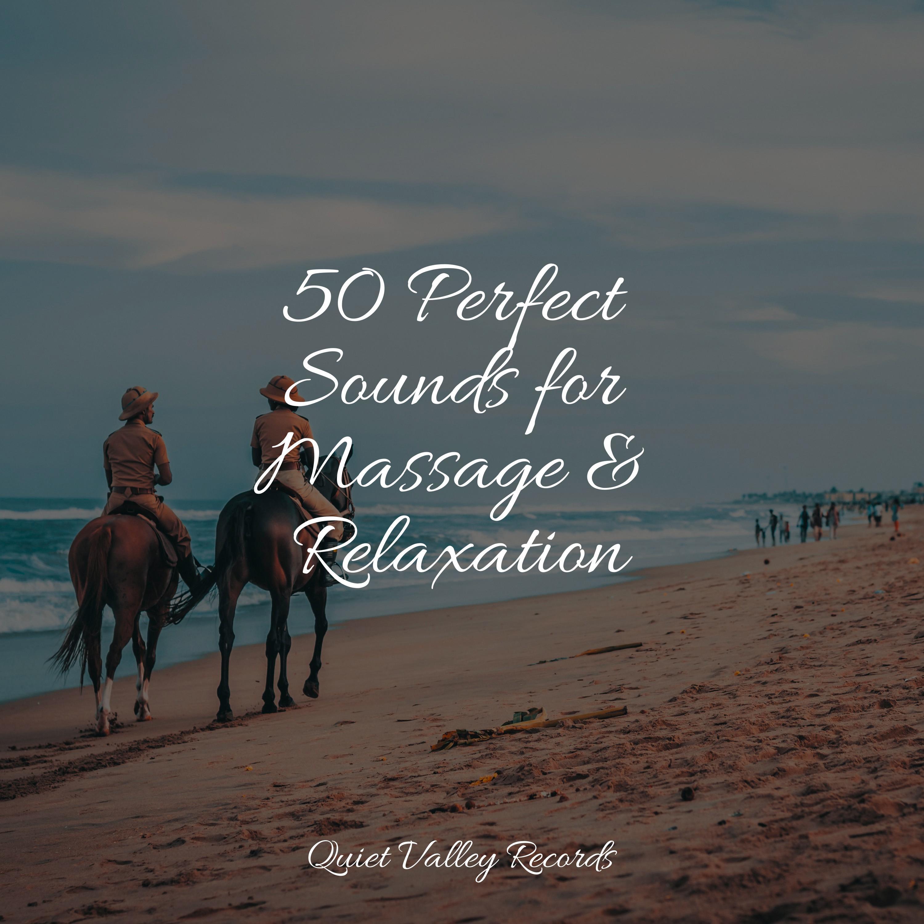 50 Perfect Sounds for Massage & Relaxation - Guided Meditation Music Zone - 专辑 - 网易云音乐