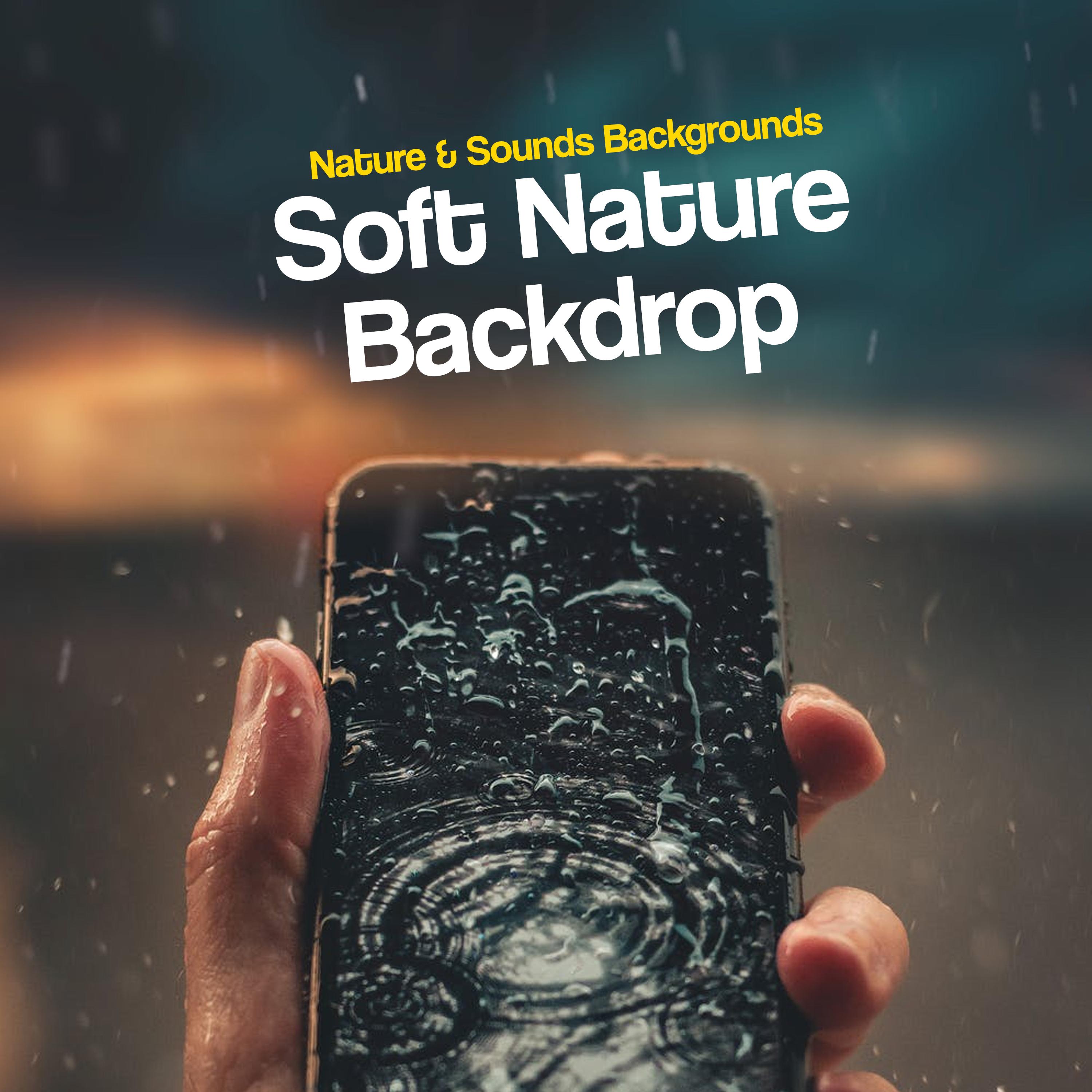 Soft Nature Backdrop - Nature & Sounds Backgrounds - 专辑 - 网易云音乐