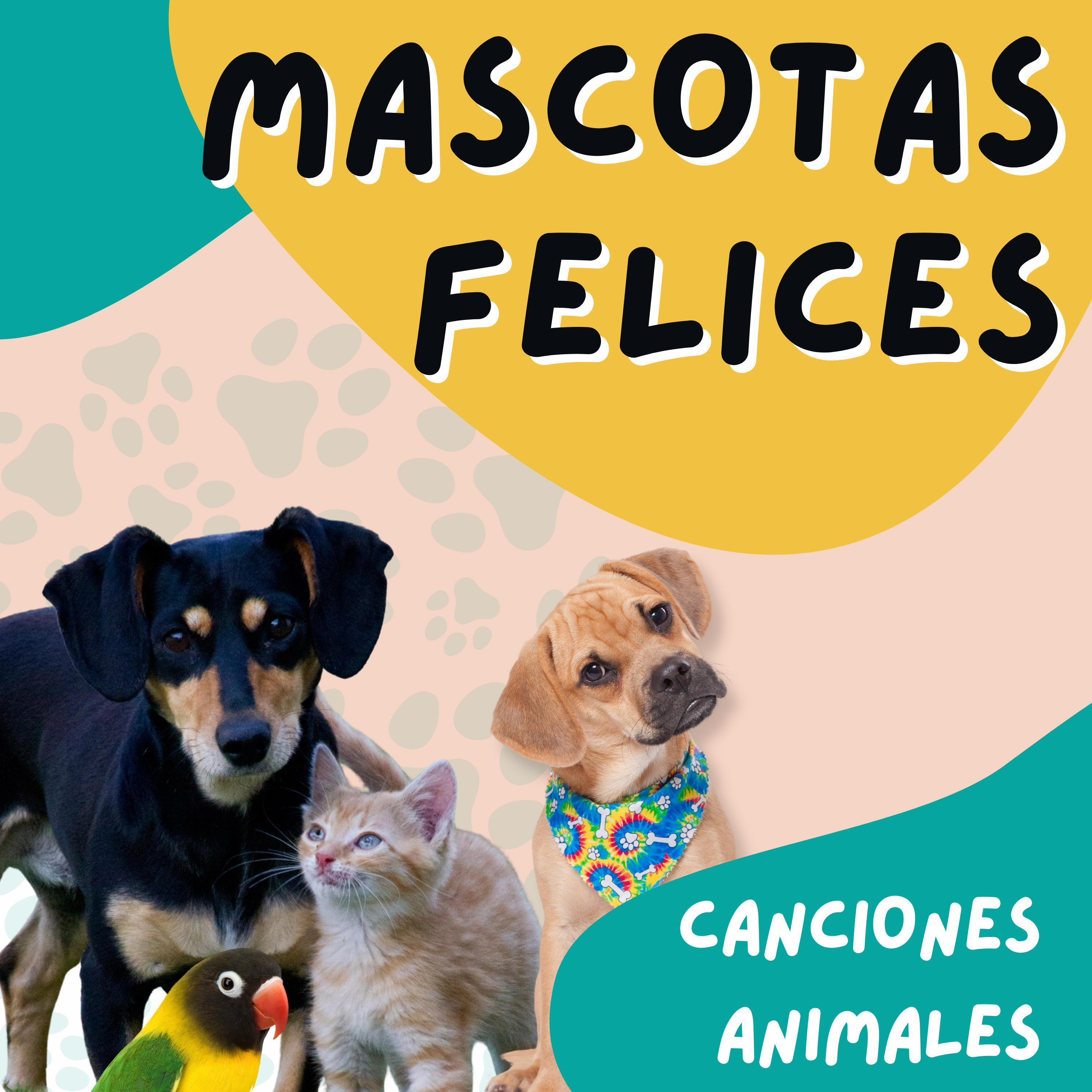 Mascotas Felices - Canciones Animales - 单曲 - 网易云音乐