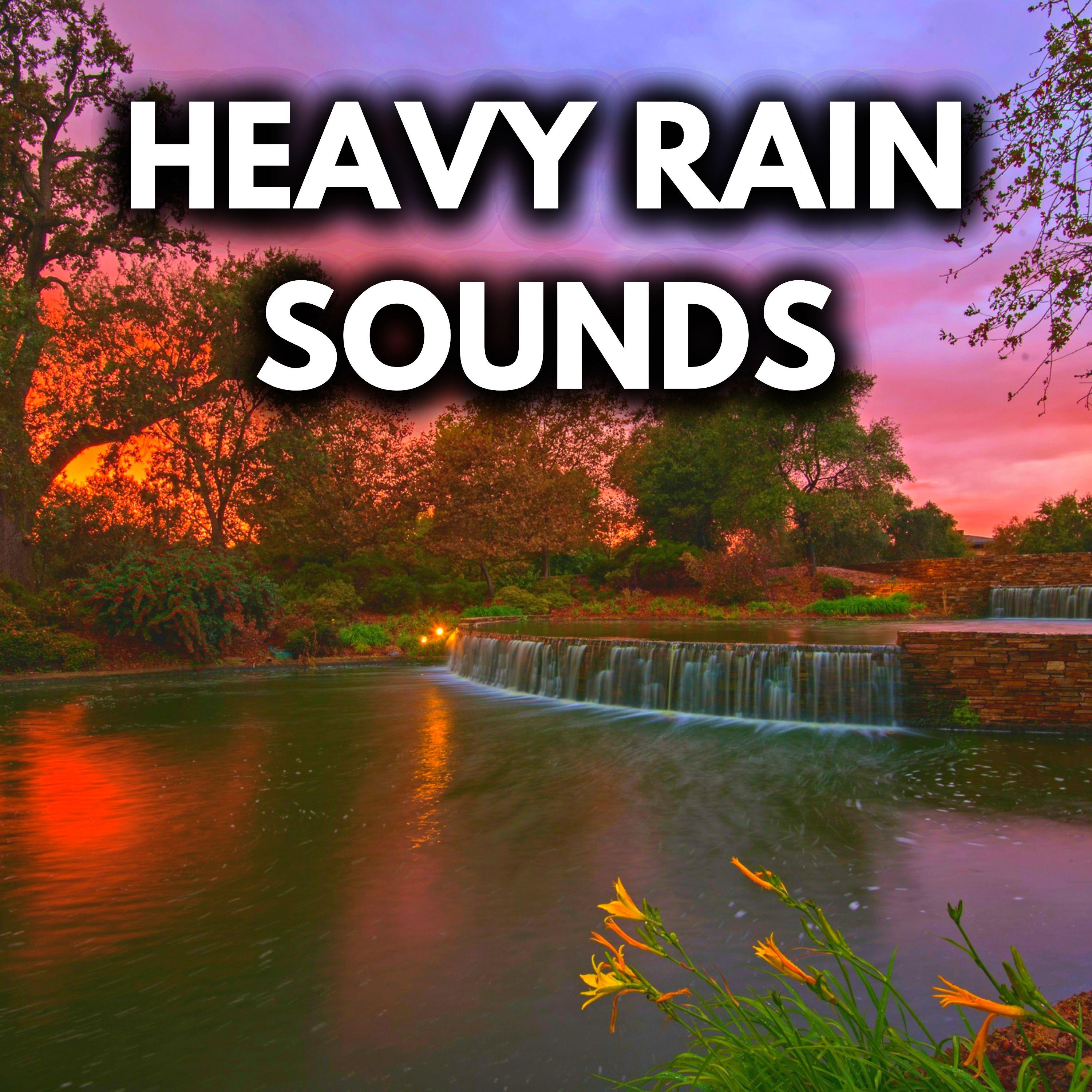 Soft Rain For Relaxation - Nature Sounds for Sleep and Relaxation/White Noise For Sleeping/Rain ...