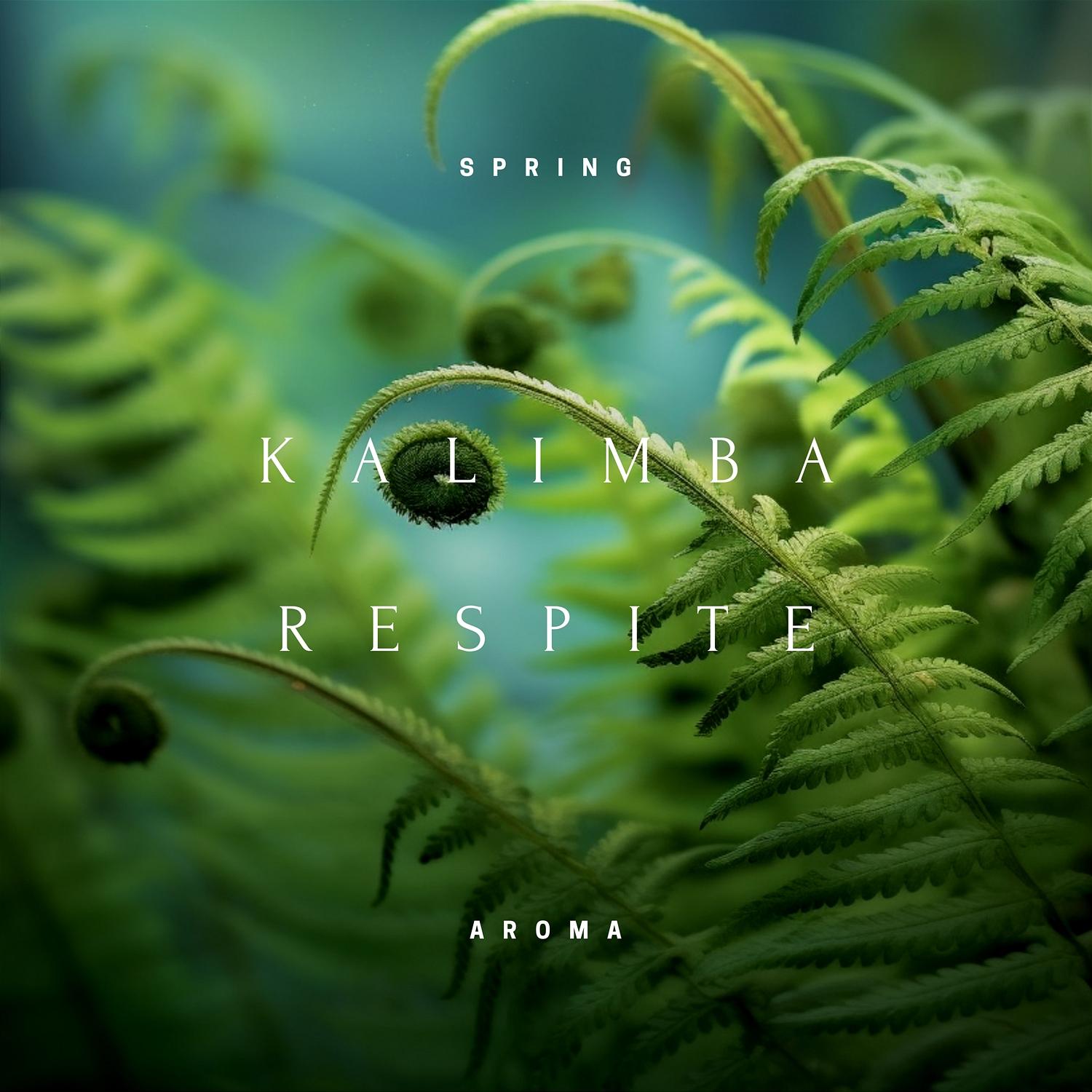 Positive Attitude - Spring Aroma - 单曲 - 网易云音乐