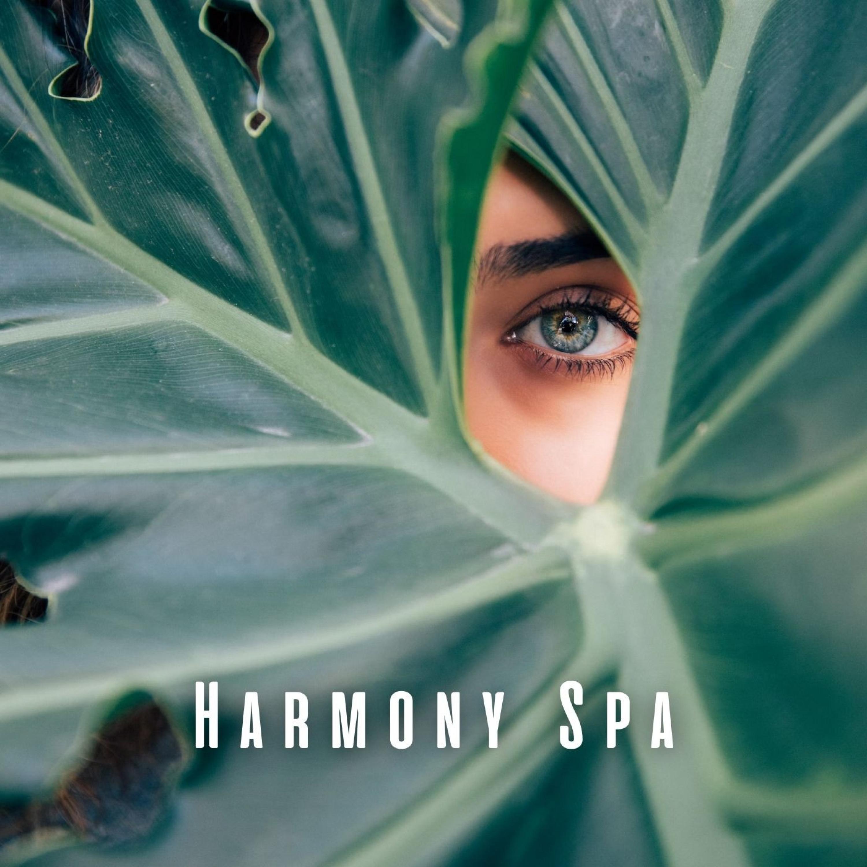 Spa Serenade Natural Healing Music Zone Healing Atmospheres Healing