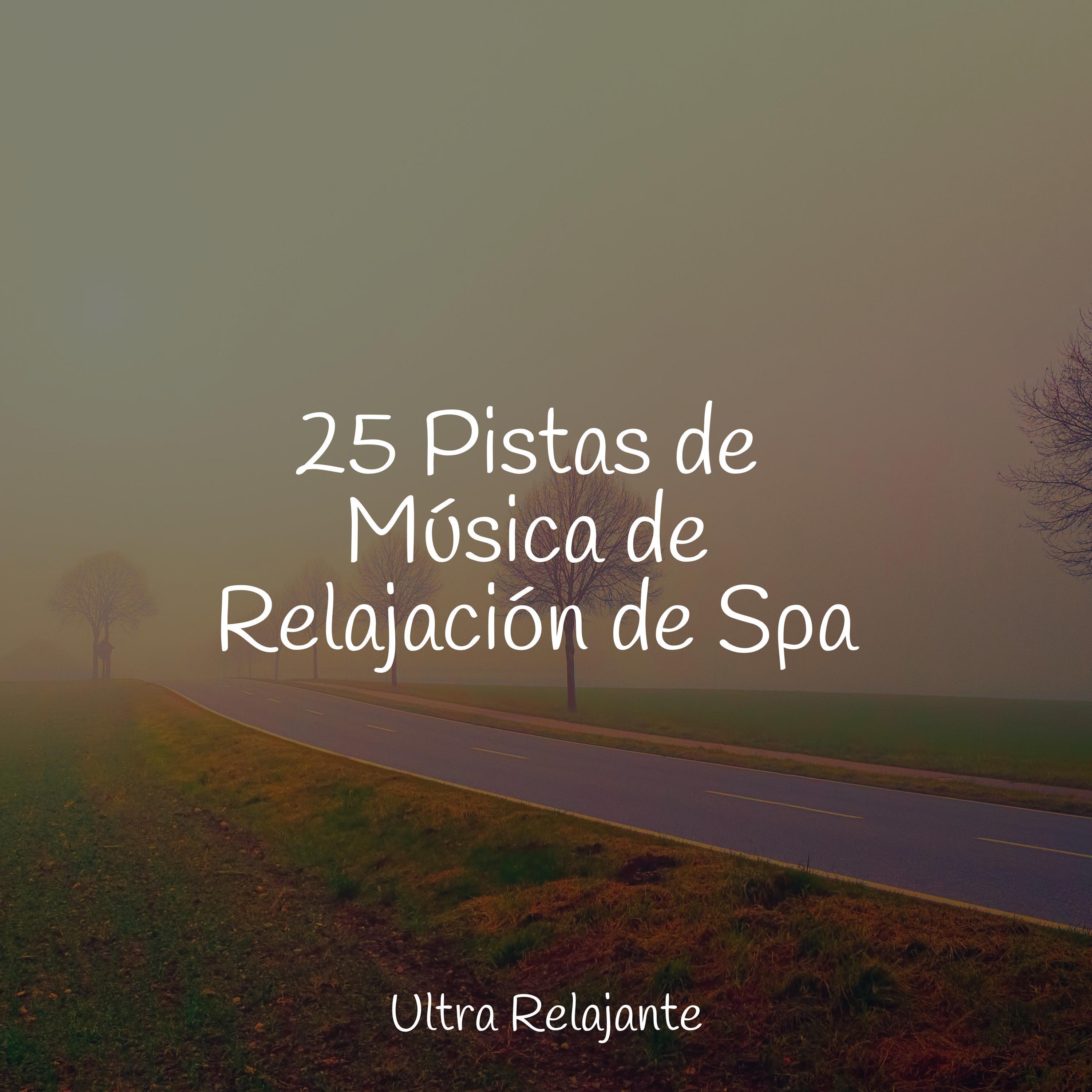 Fuera En La Naturaleza Jazz Para Crianças Mantra Para Meditar
