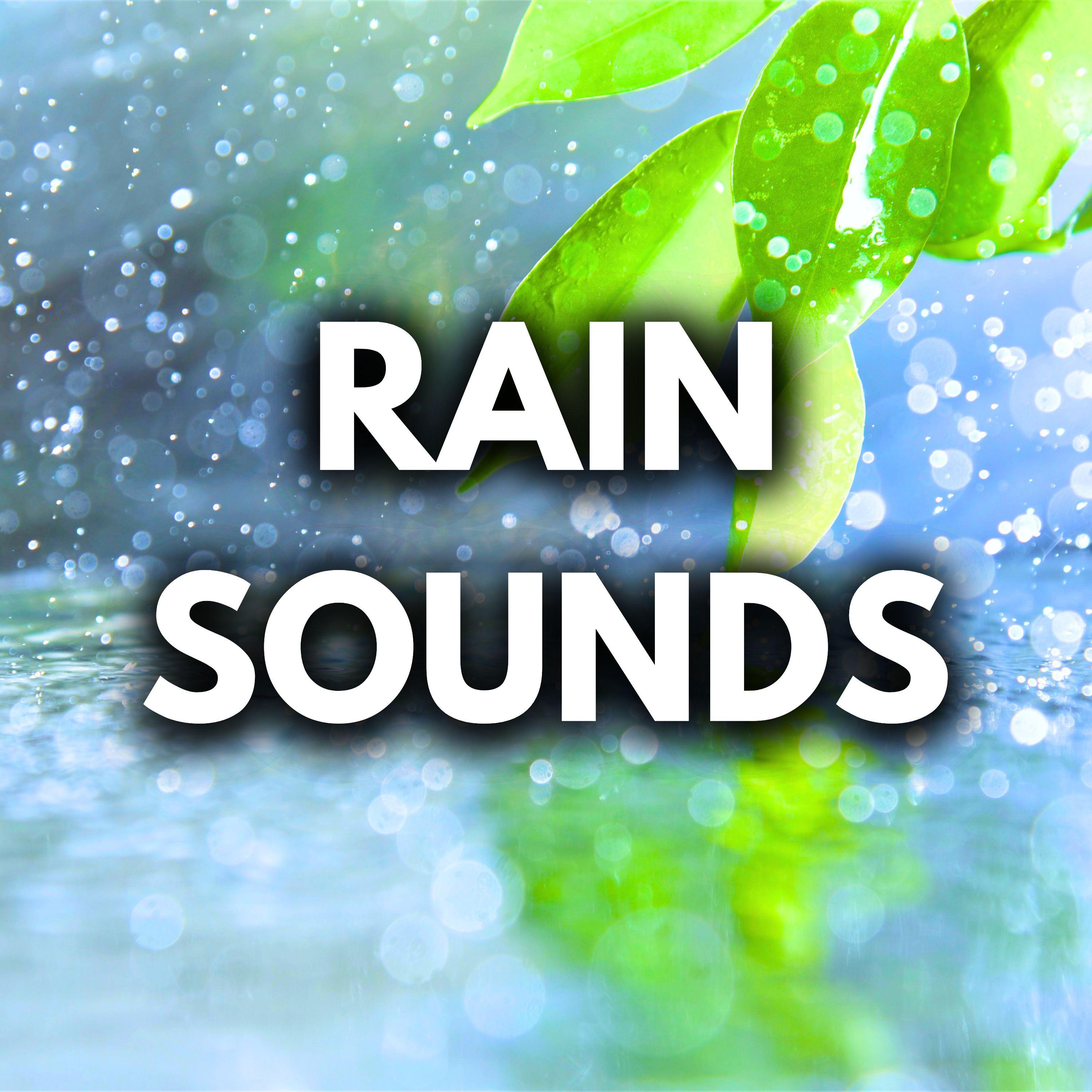 Melodic Raindrops For Deep Sleep - Nature Sounds for Sleep and Relaxation/White Noise For ...