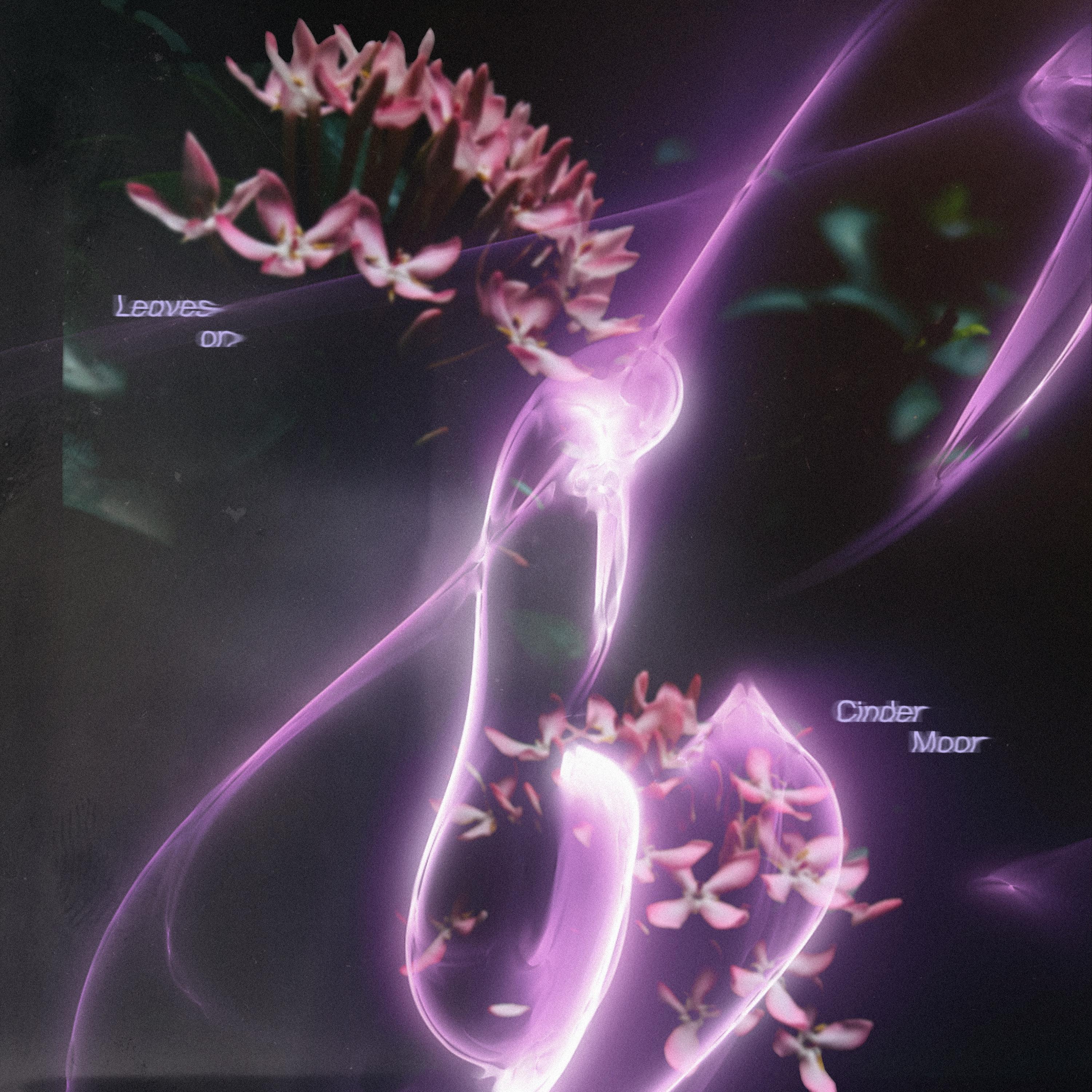 Hiraeth - Jay Taylor - 单曲 - 网易云音乐