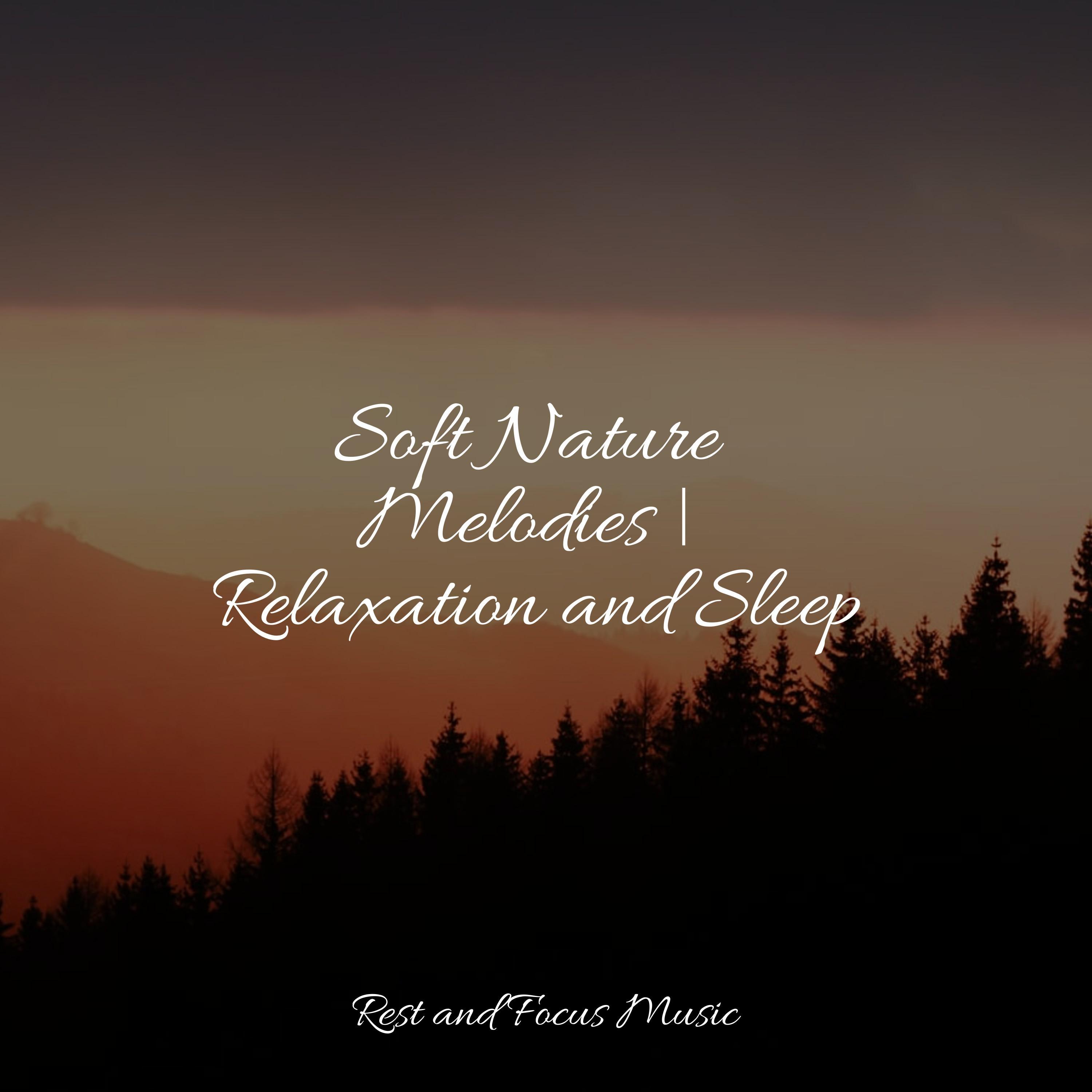 Rustling Meadows - Baby Sleep Music/Saludo al Sol Sonido Relajante ...