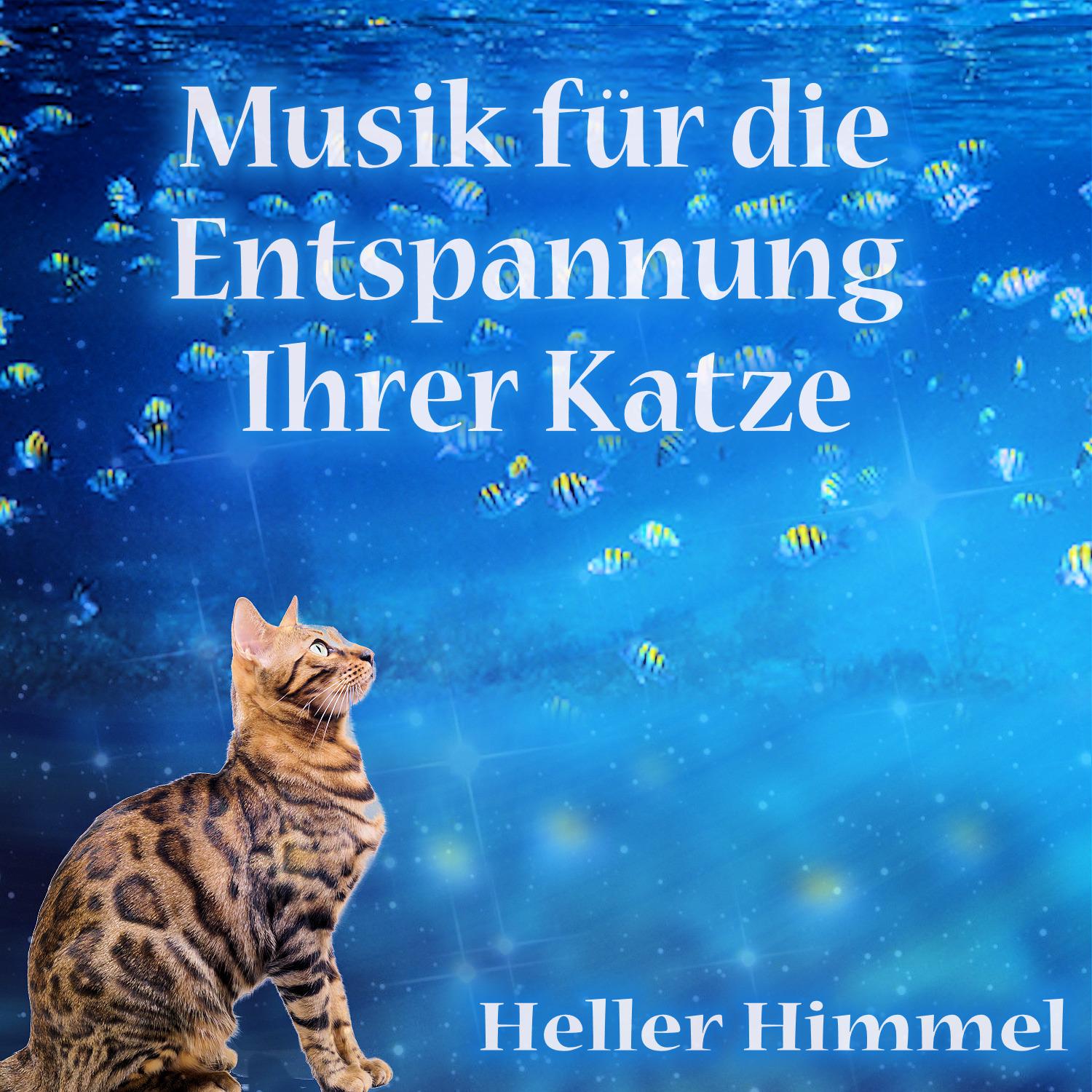 Abenteuer - Heller Himmel - 单曲 - 网易云音乐