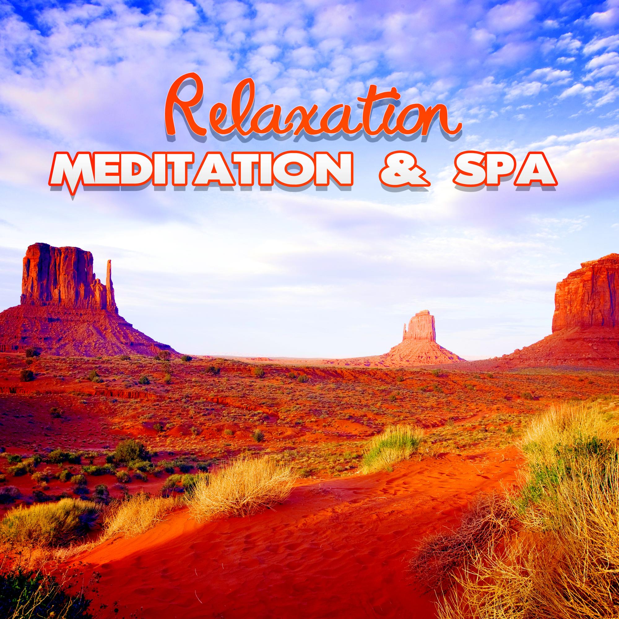 Relaxation Meditation & Spa - Mindfulness Meditation Music Spa Maestro - 单曲 - 网易云音乐
