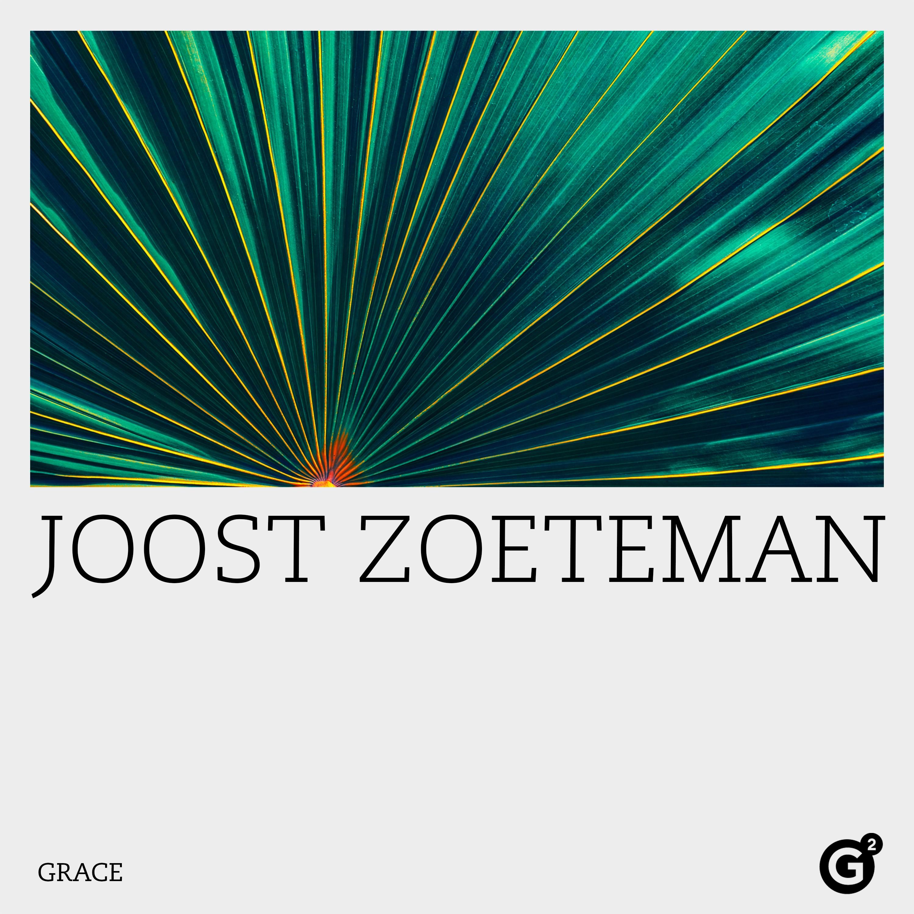 Grace - Joost Zoeteman - 单曲 - 网易云音乐
