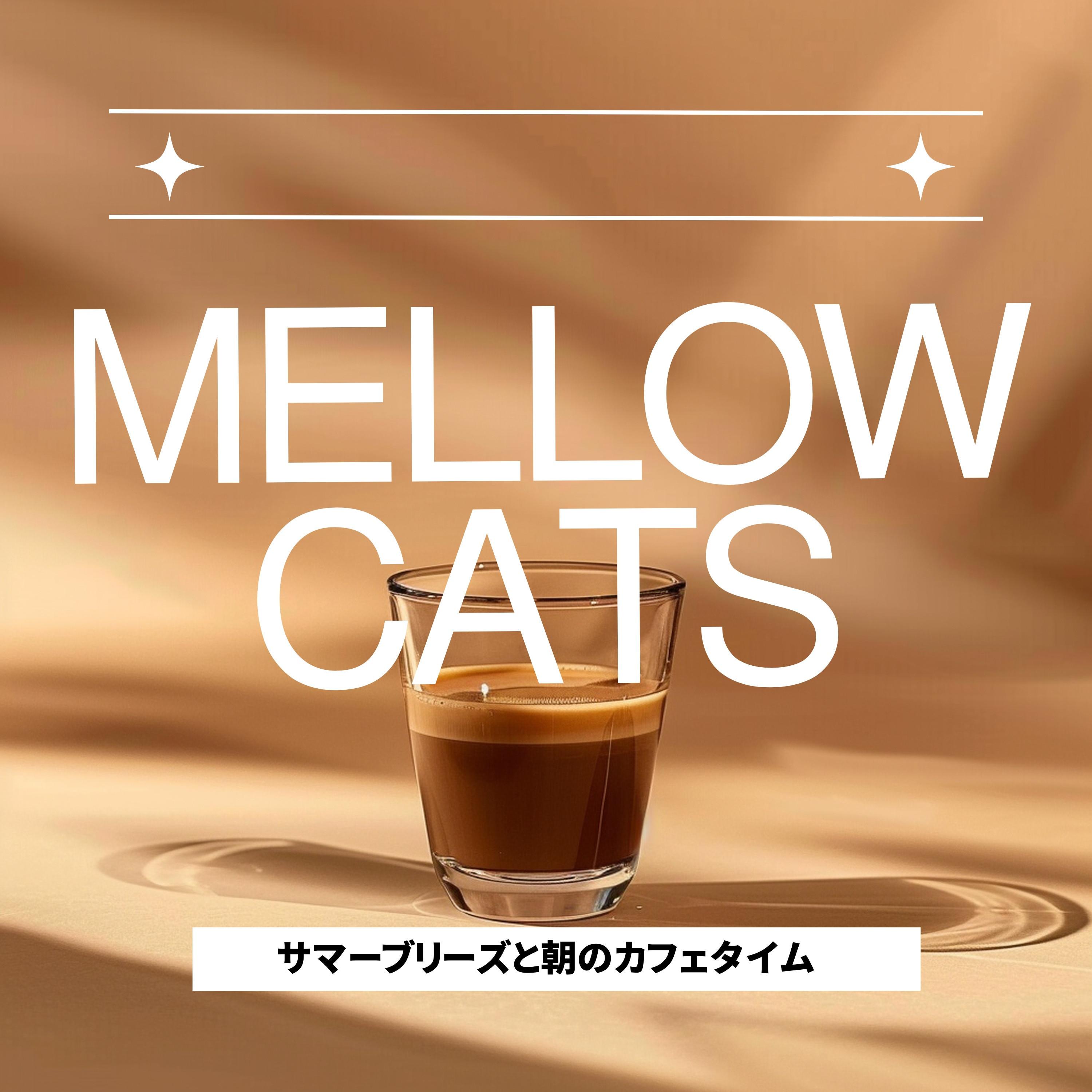 Splendid Morning Harmony - Mellow Cats - 单曲 - 网易云音乐