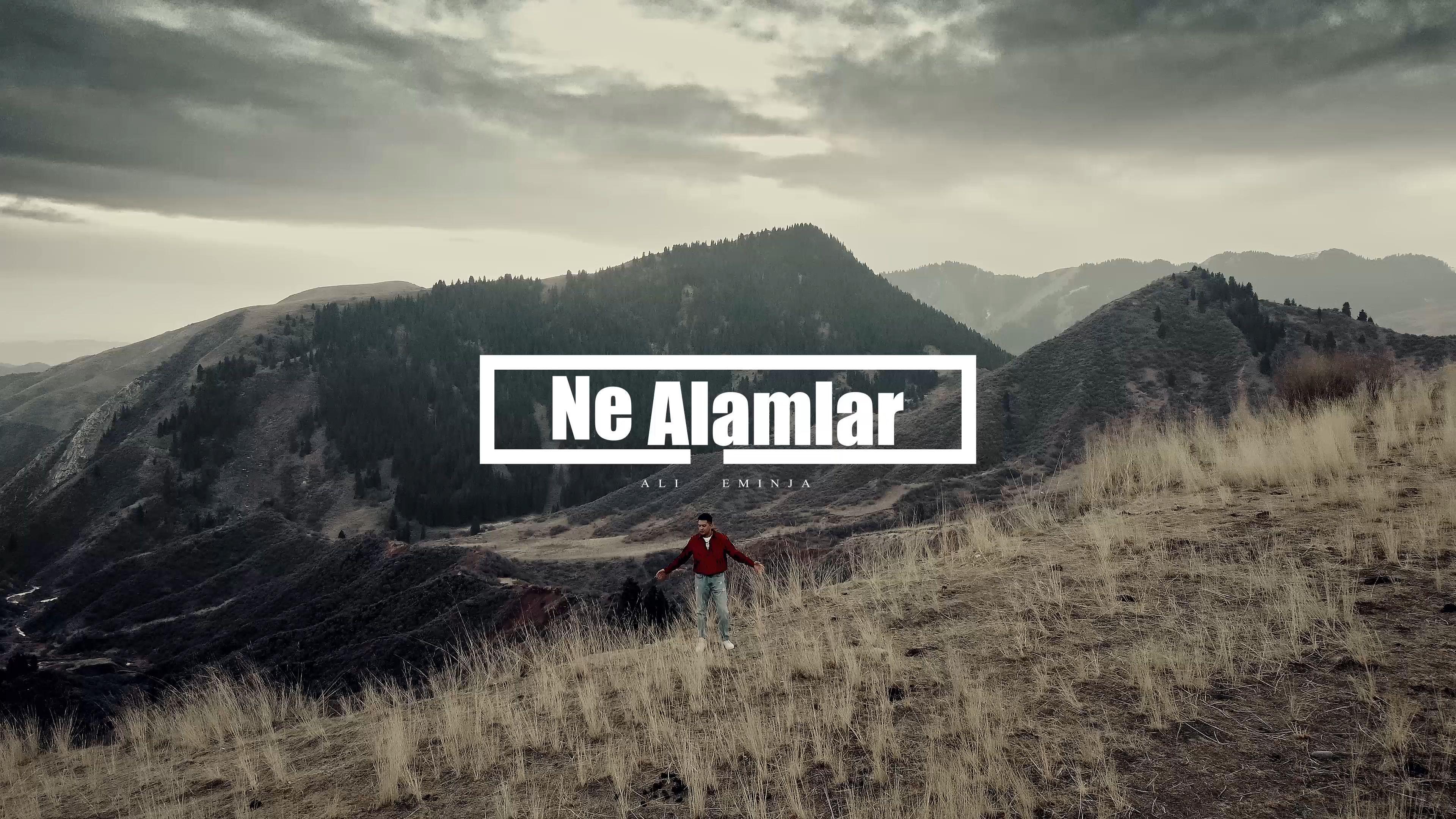 Ne Alamlar - Ali Eminjan - 高清MV - 网易云音乐