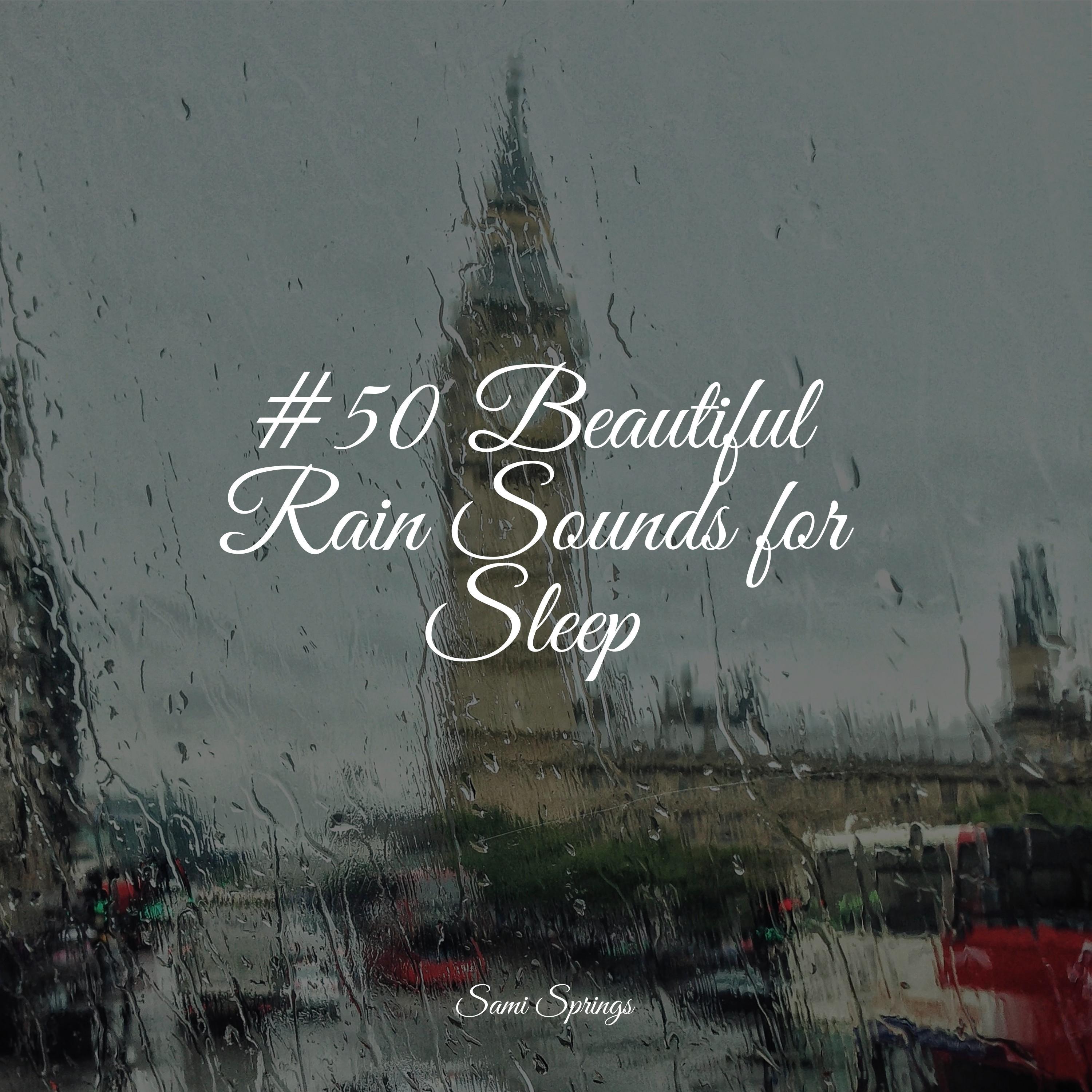 Enjoyable Showers - Forest Sounds/Relaxing Mindfulness Meditation Relaxation Maestro/Nature ...