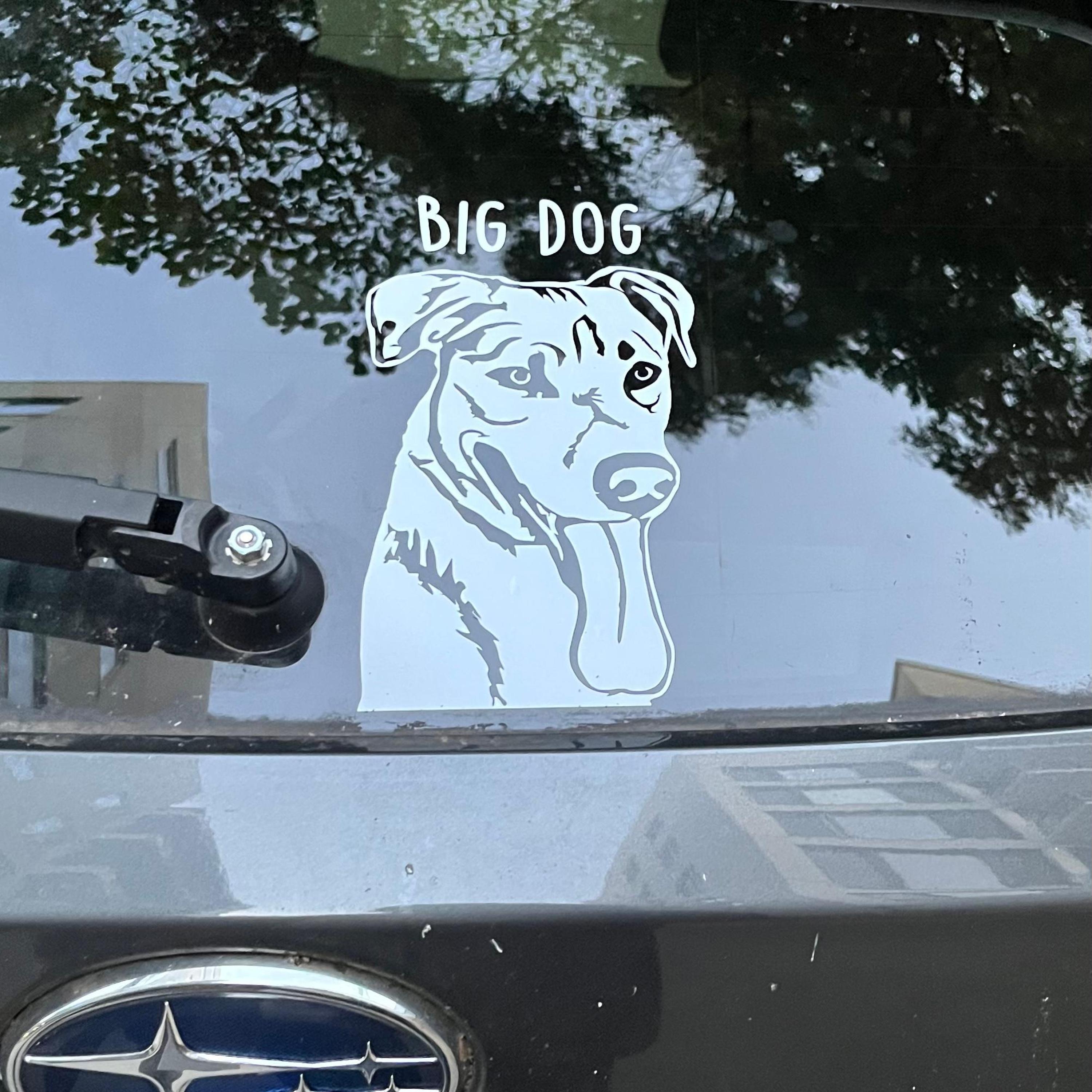 Big Dog (feat. Maurice) (Kenny Ning Remix) - Kenny Ning/Maurice - 单曲 - 网易云音乐