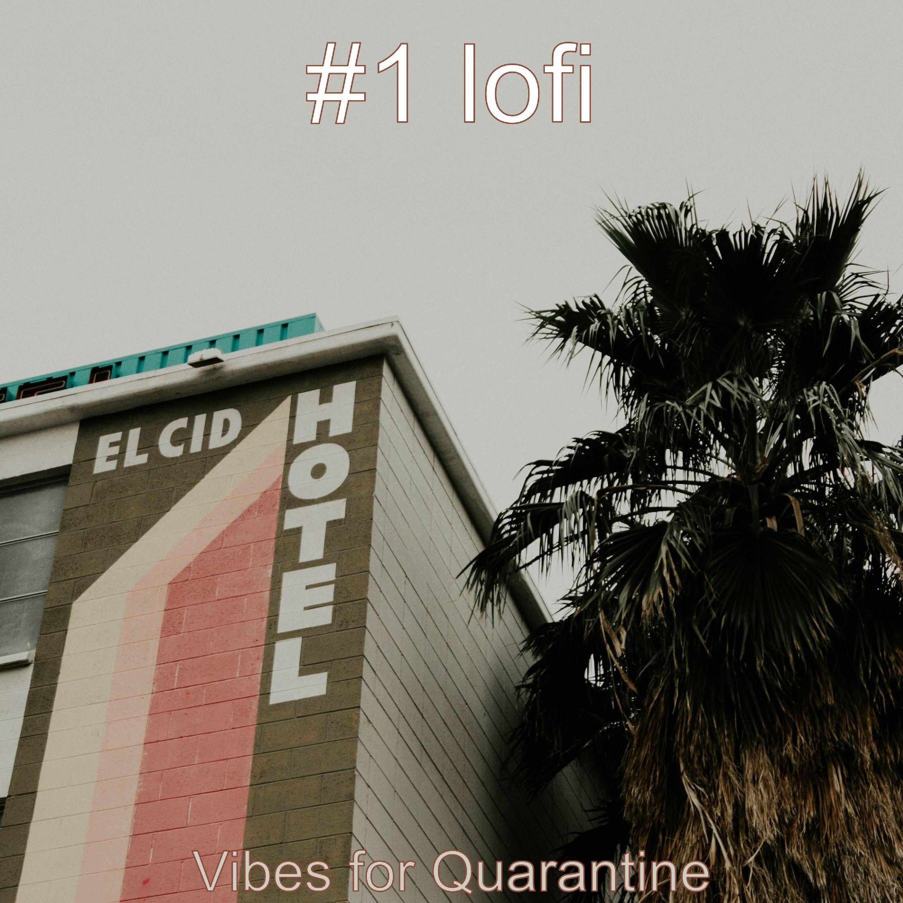 Vibes for Quarantine - #1 lofi - 单曲 - 网易云音乐