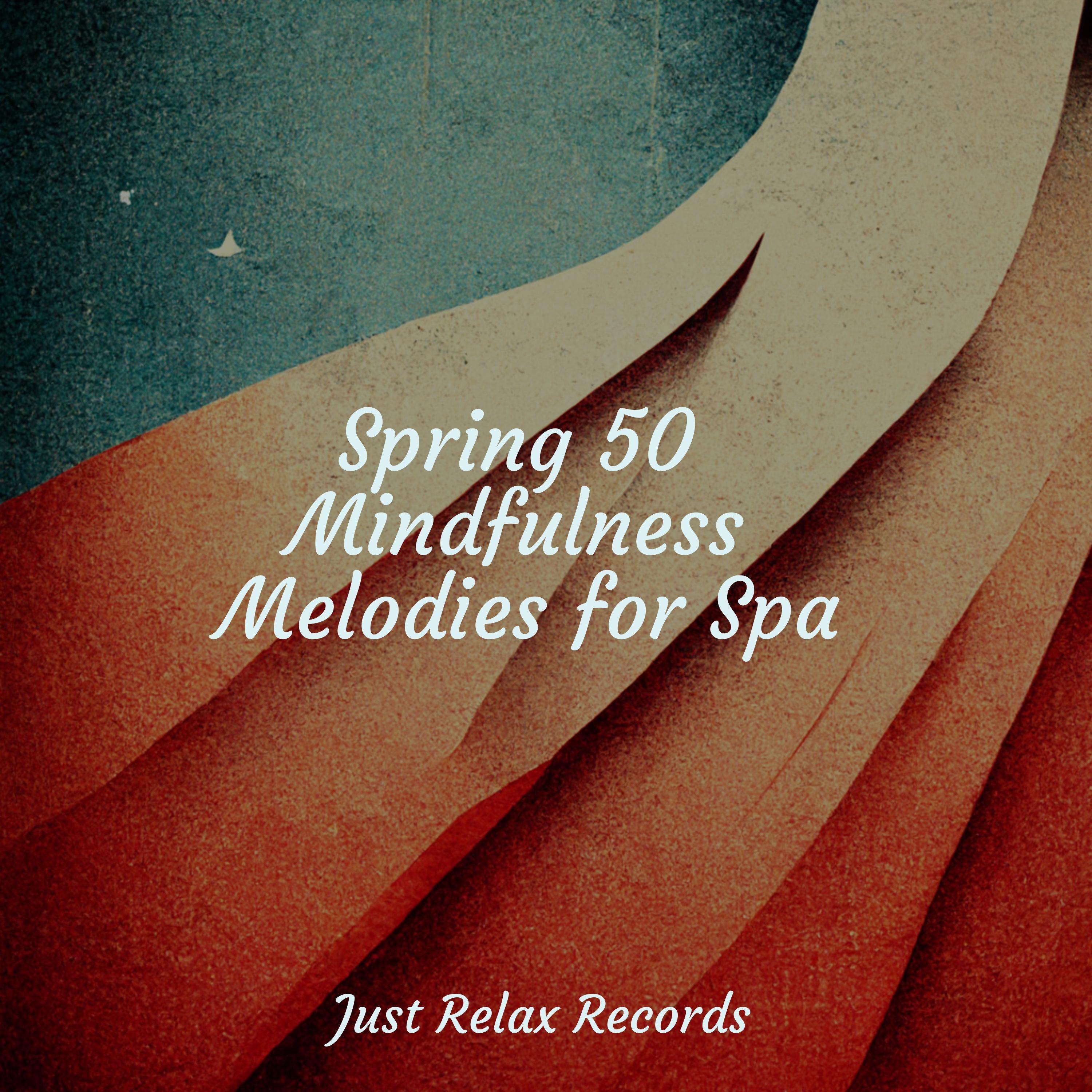 Spring 50 Mindfulness Melodies for Spa - Lounge Music Café - 专辑 - 网易云音乐